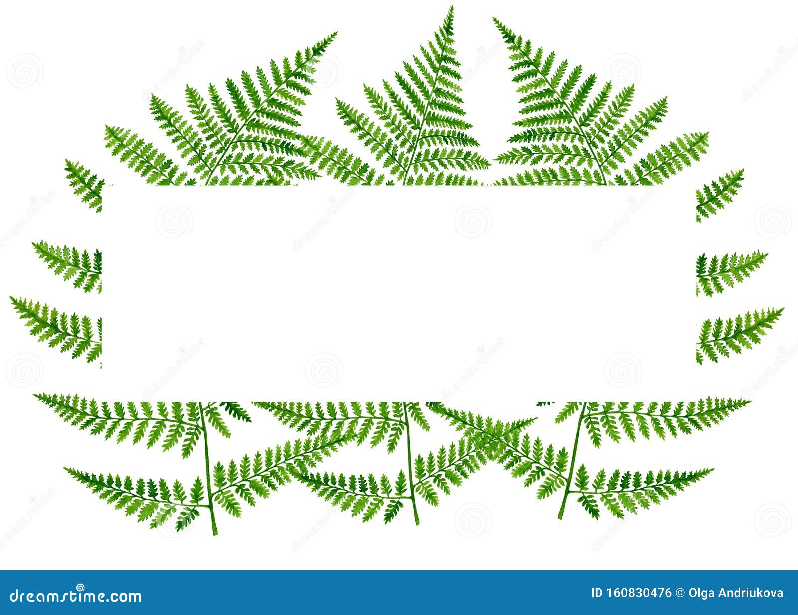 Watercolor Fern Leaves Rectangular Frame. Hand Drawn Forest Plants ...