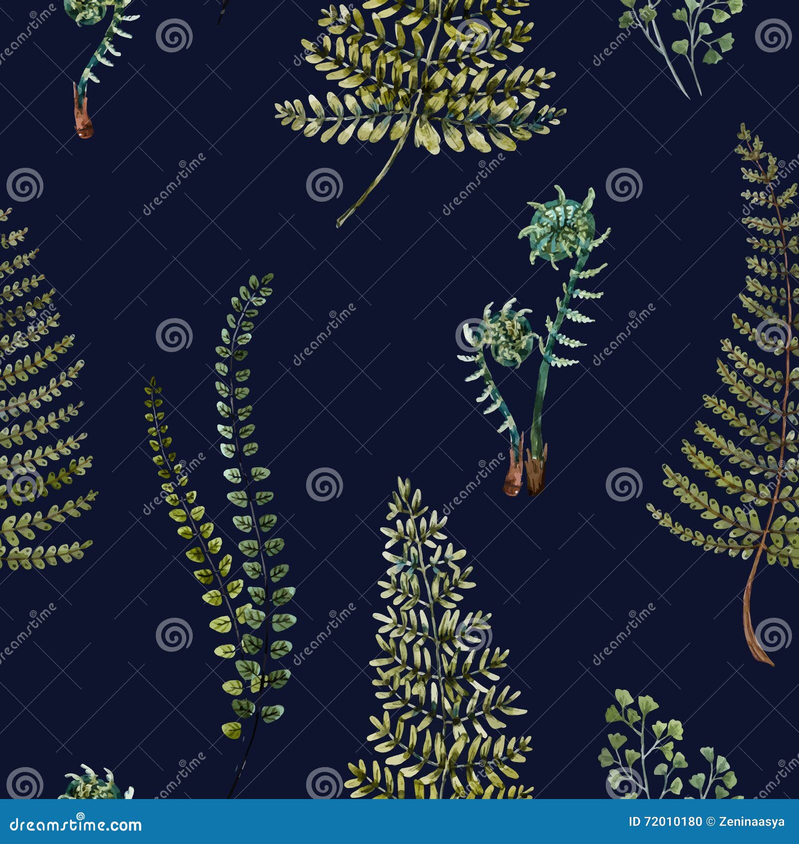 Watercolor Fern Leaves Cartoon Vector | CartoonDealer.com #72010607