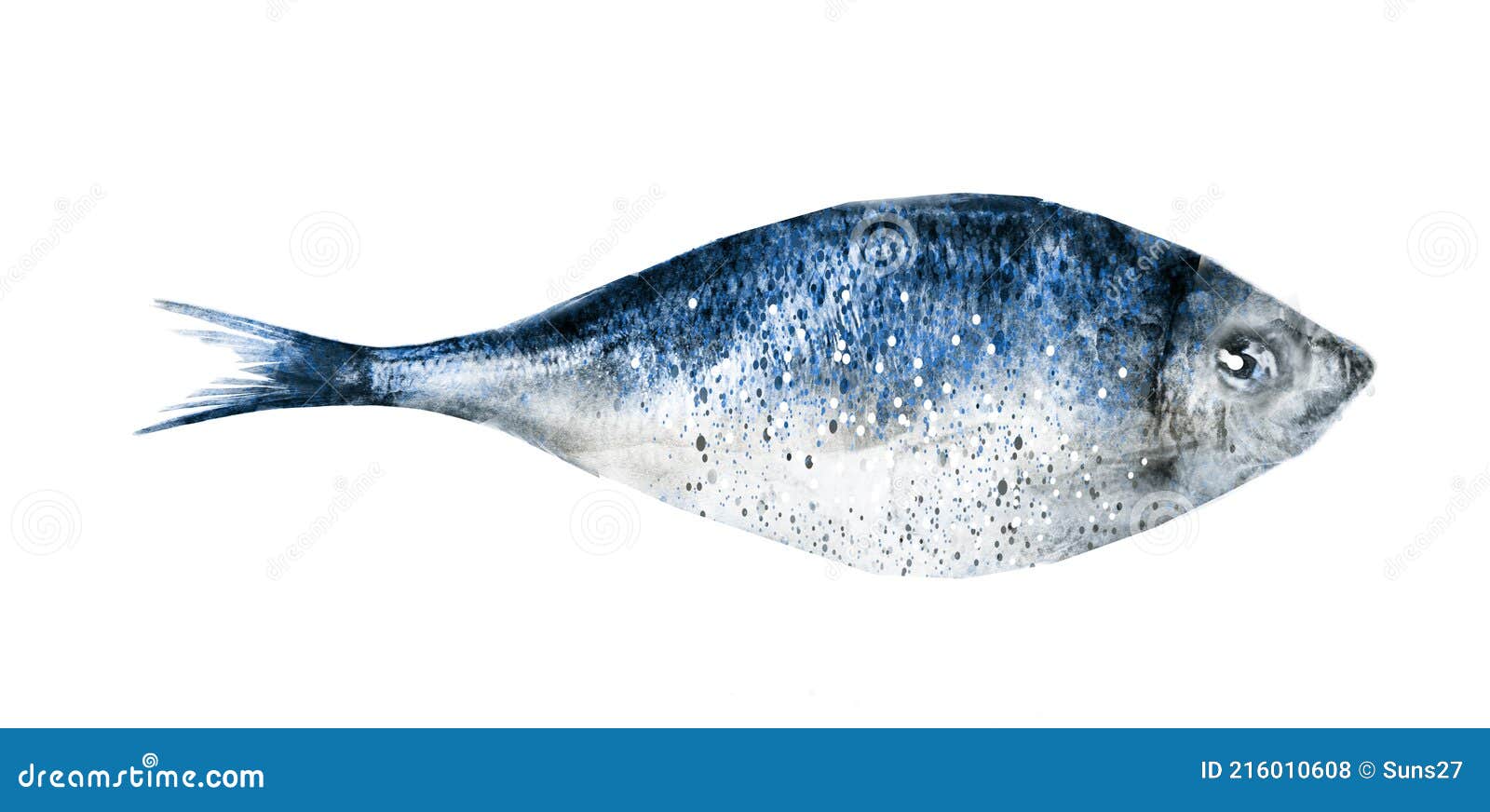 Watercolor fish on white stock illustration. Illustration of bright ...