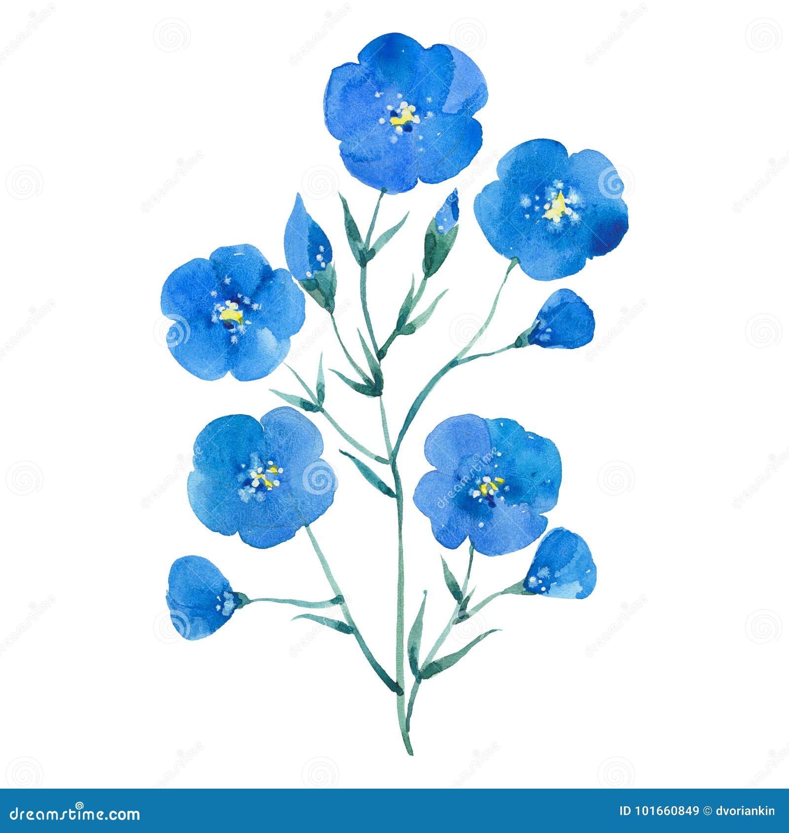 Flax Flower Vector Linen Plant Illustration Icon | CartoonDealer.com ...