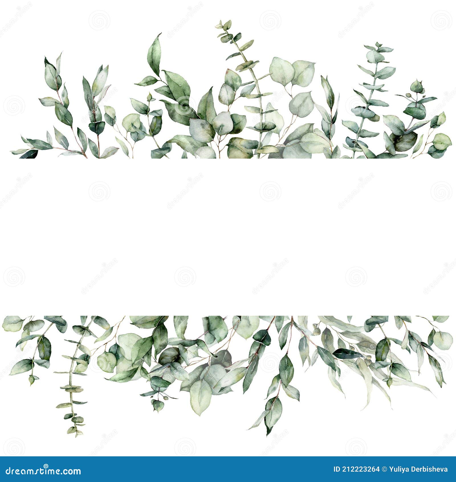 Watercolor Floral Border of Eucalyptus Branches, Seeds and Leaves. Hand ... Watercolor Floral Border of Eucalyptus Branches, Seeds and Leaves. Hand ...