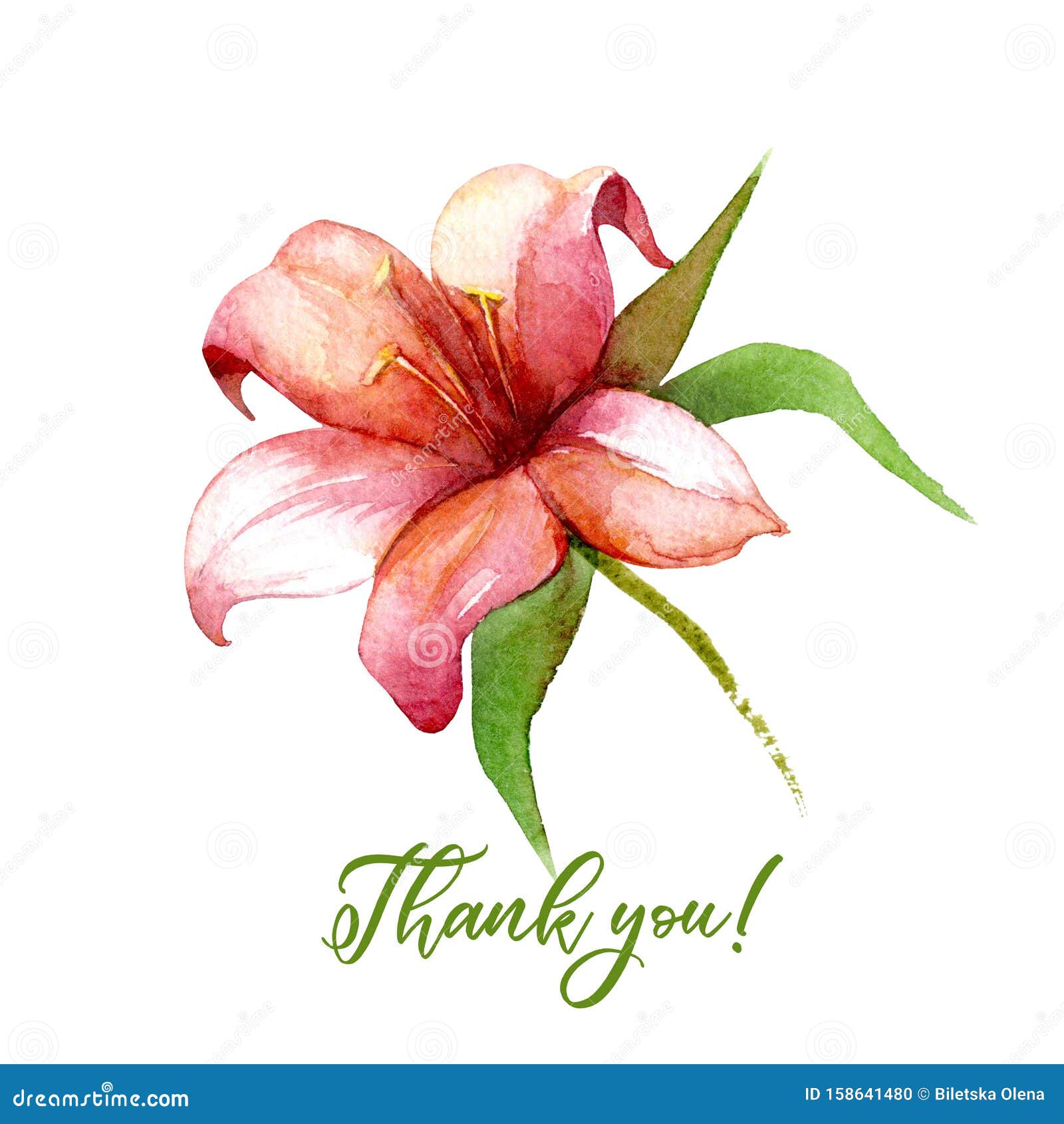 Watercolor Flower Thank You Card Stock Illustration - Illustration of ...