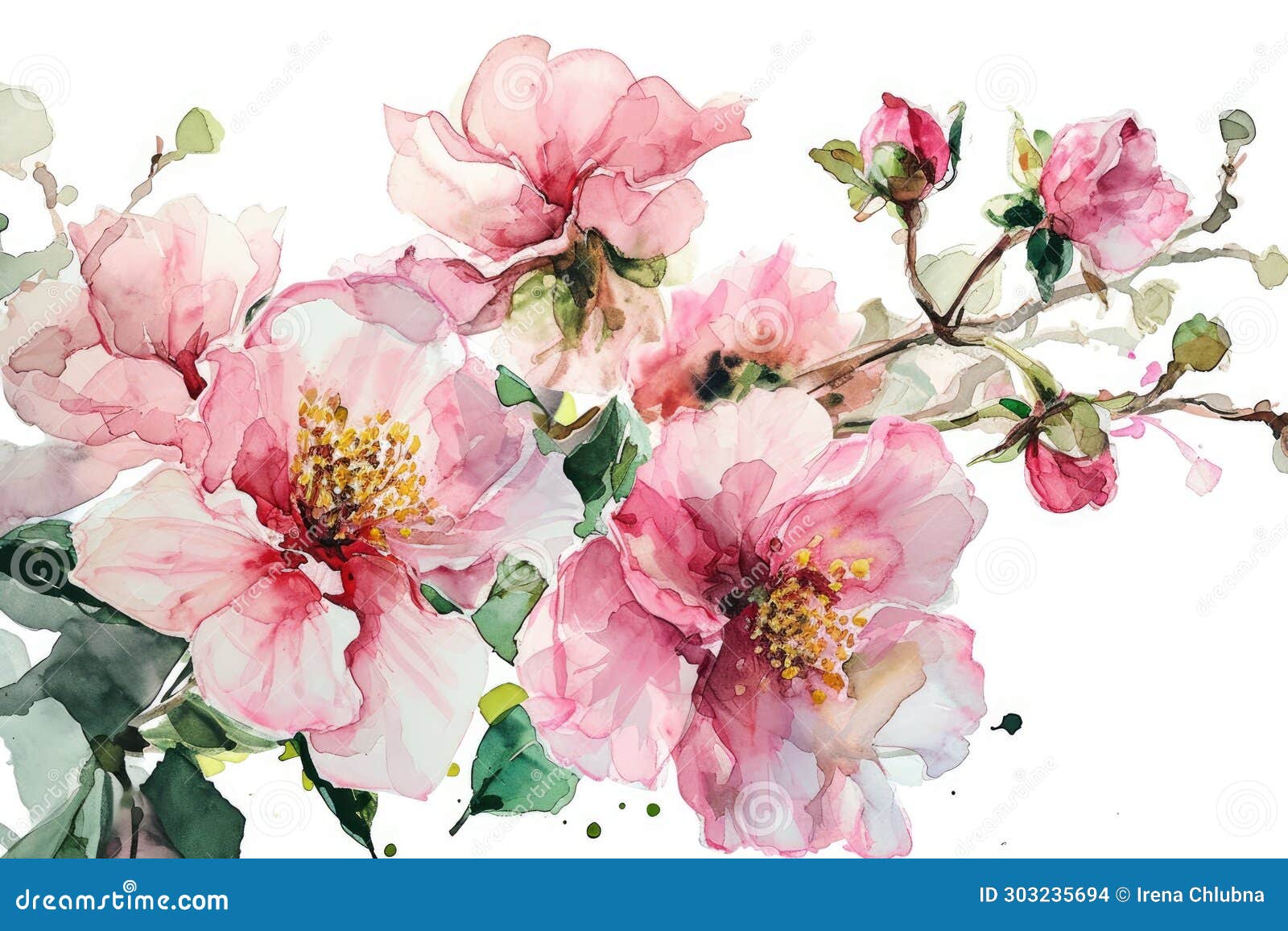 Watercolor Flowers on White Background, Theme Spring Stock Illustration ...