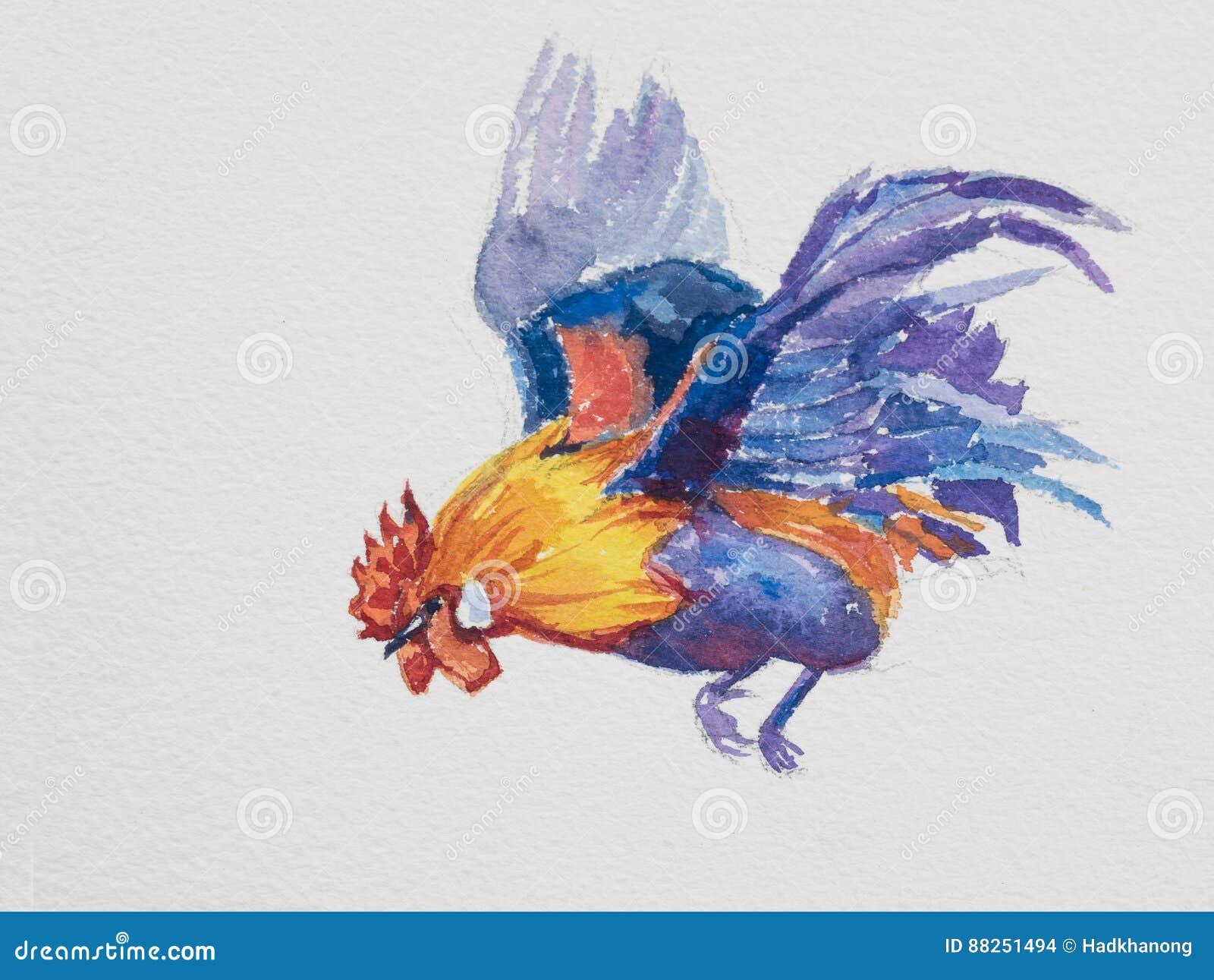 Watercolor of Flying Bantam on Paper Stock Illustration - Illustration ...