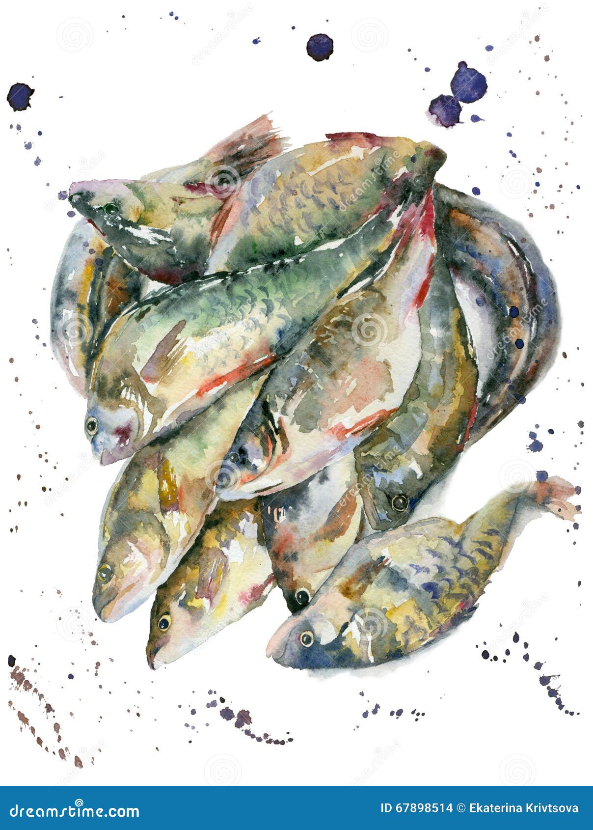 Watercolor fresh fish. stock illustration. Illustration of fishing ...