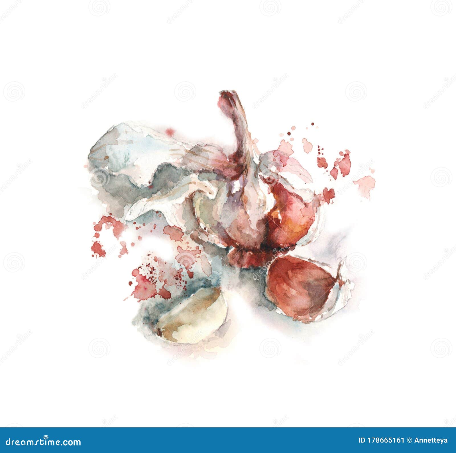 Watercolor Garlic Composition, Watercolor Art Stock Illustration ...