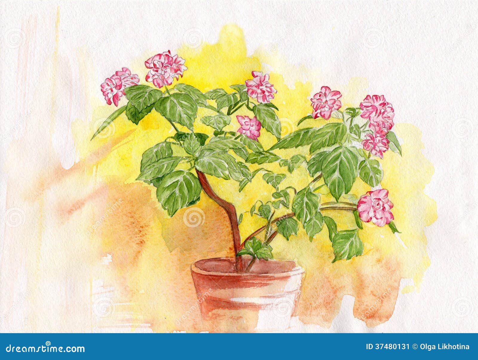 Watercolor gentle flowers stock illustration. Illustration of petal ...