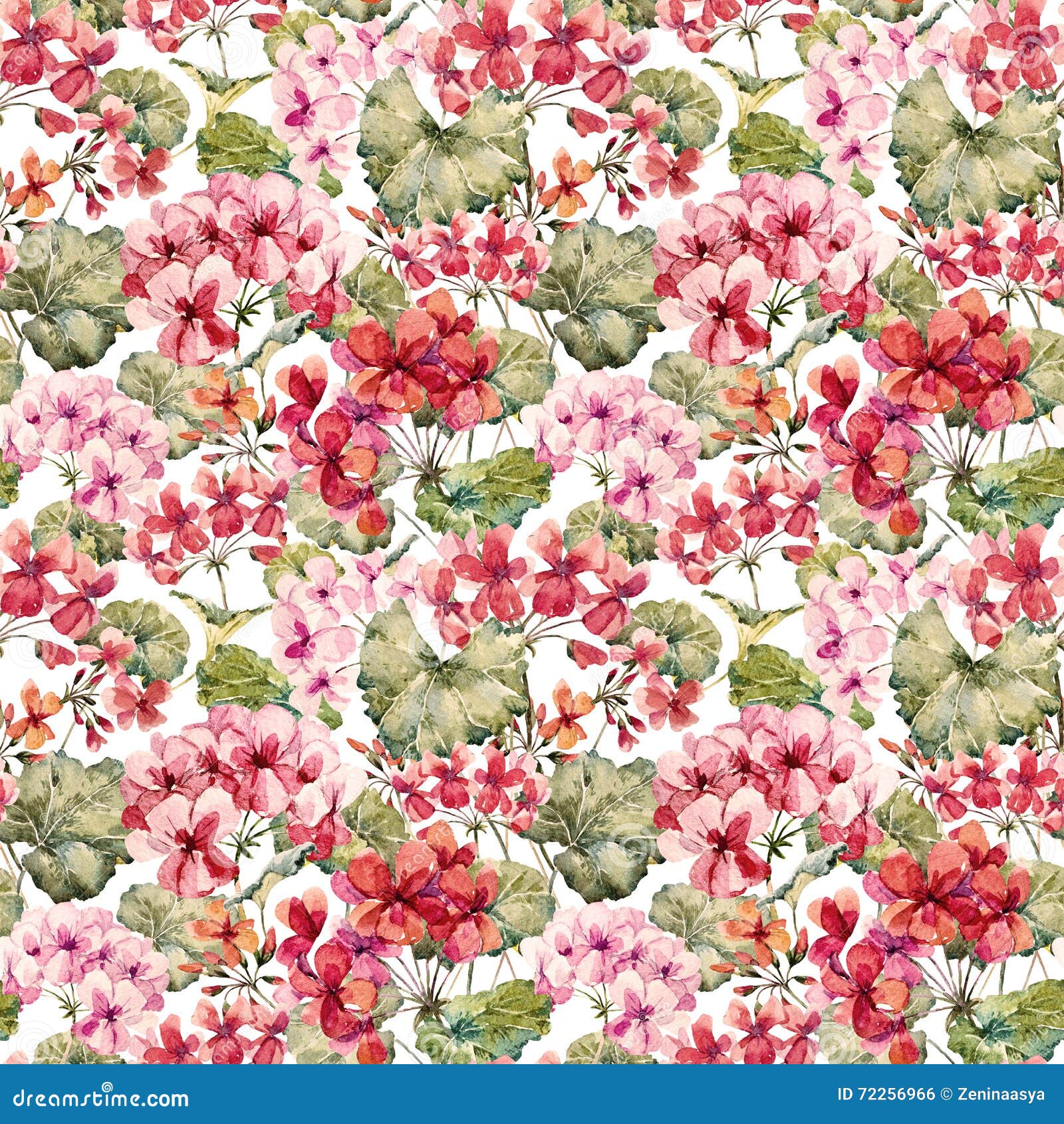 Watercolor Geranium Pattern Stock Illustration - Illustration of ...