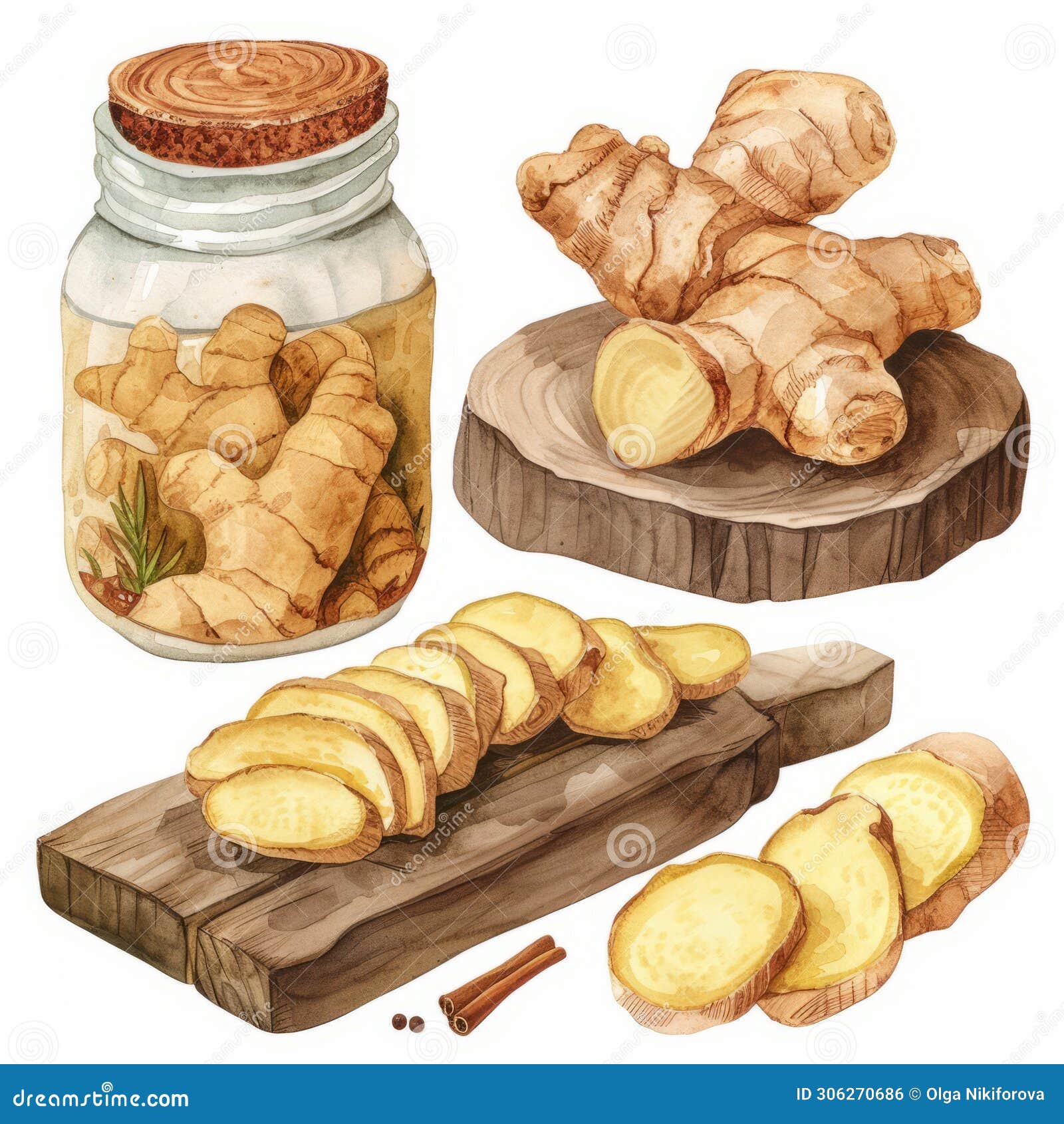 Watercolor Ginger Root and Slices, Pickled Ginger Stock Illustration ...