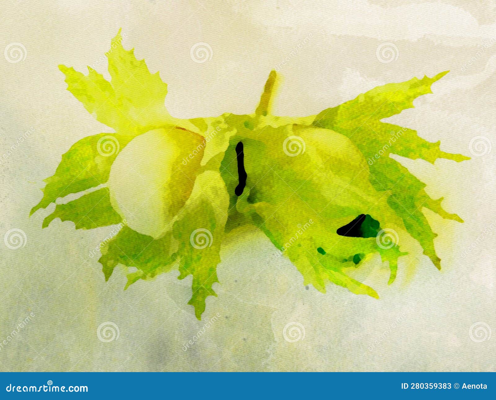 Watercolor Green Hazelnut Painting Stock Illustration - Illustration of ...