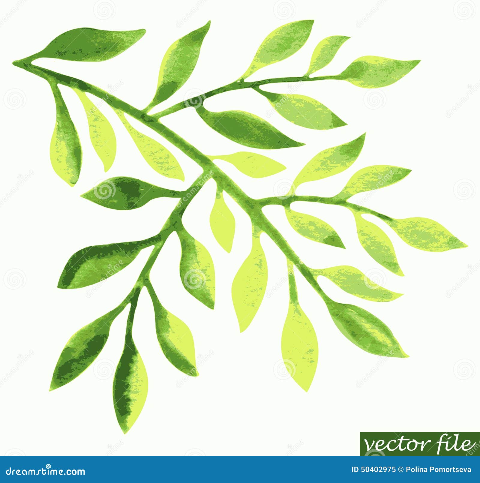 Watercolor Green Leaf Design Element. Stock Vector - Illustration of ...