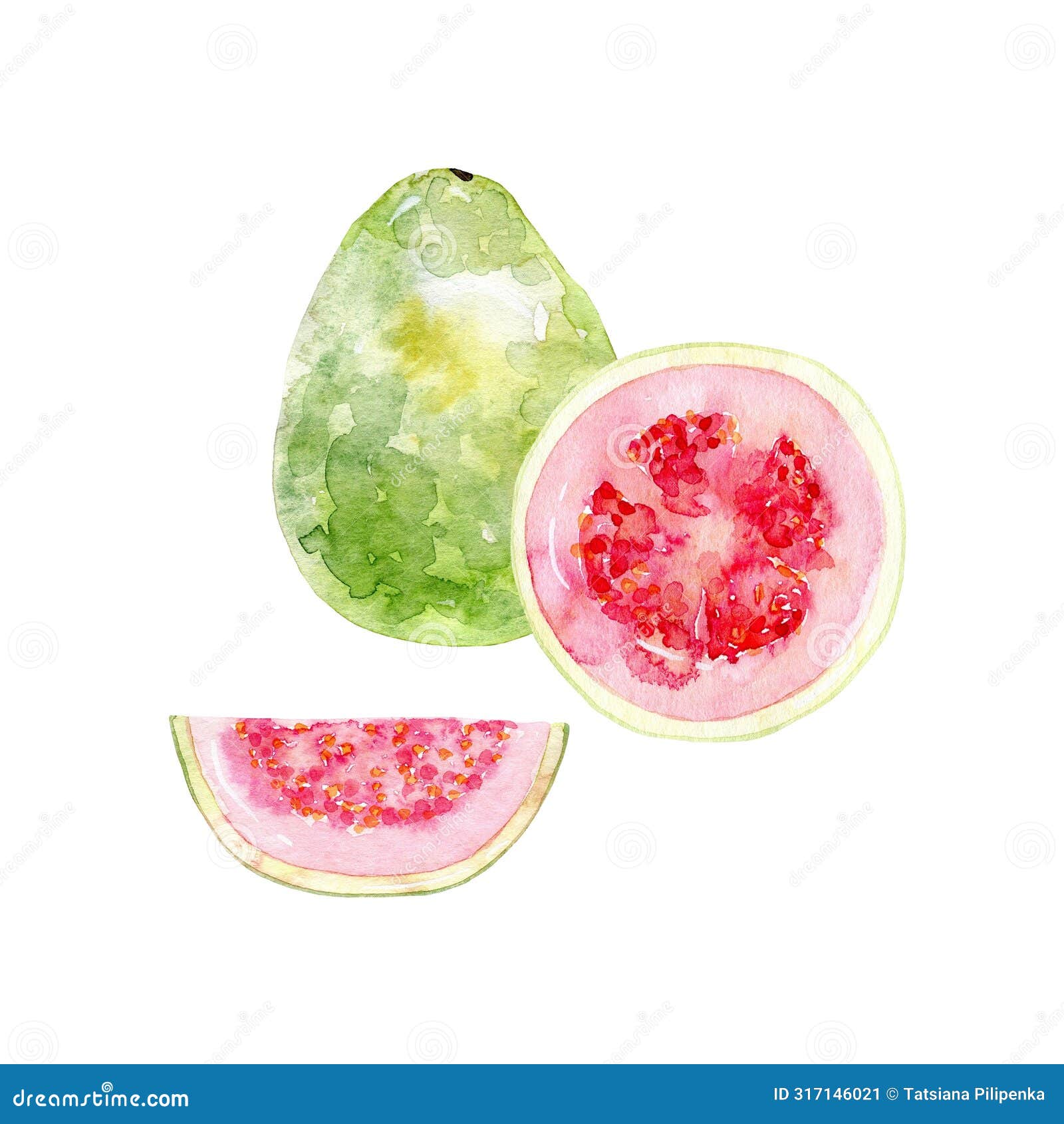 Watercolor guava. stock image. Illustration of dessert - 317146021
