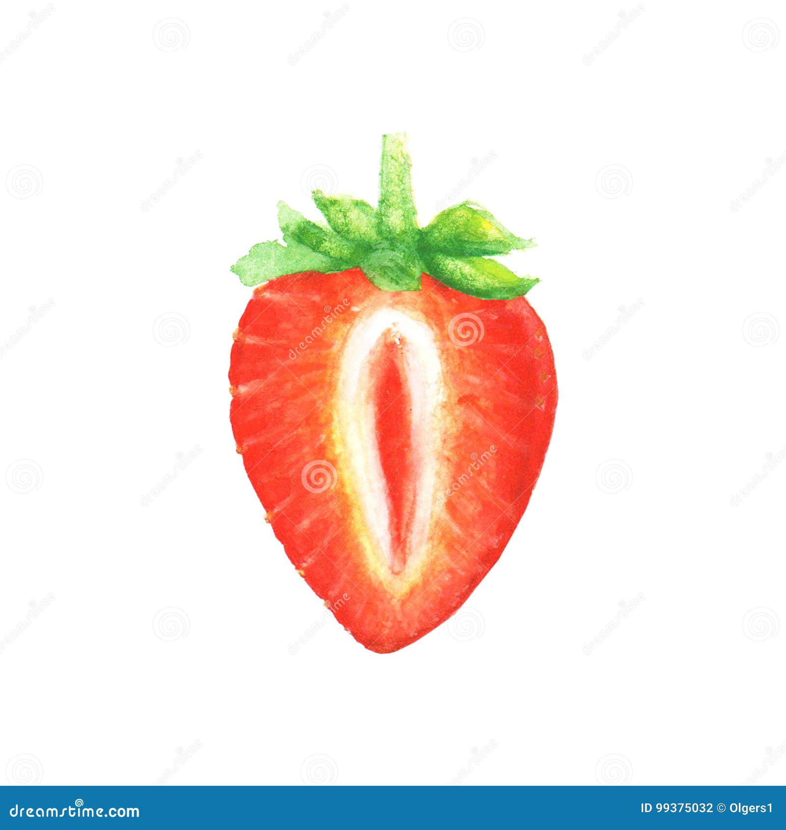 Watercolor Half of Strawberry Stock Vector - Illustration of paint ...