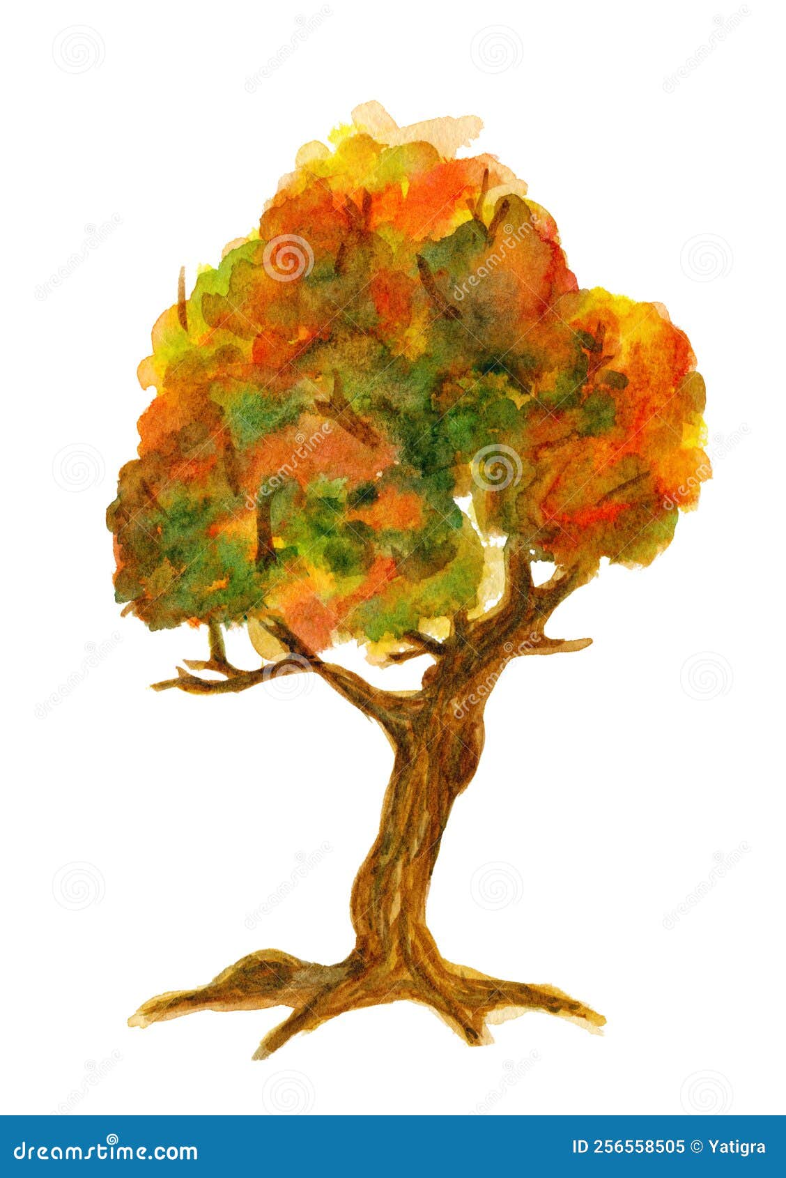 Watercolor Hand Drawing of Autumn Tree on Paper, Isolated Image Stock ...