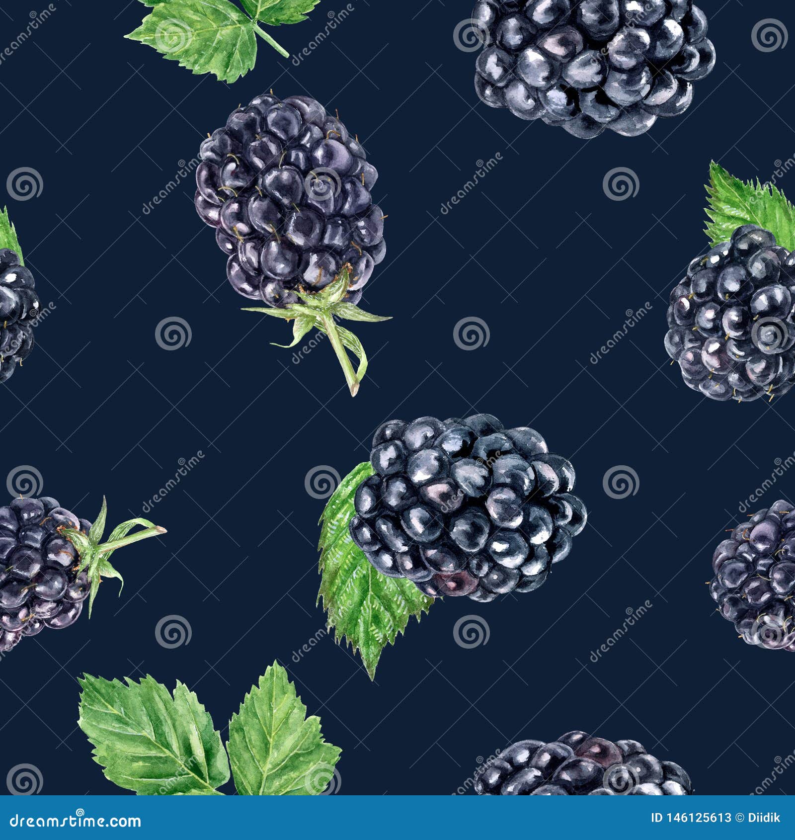 Watercolor Hand Drawn Blackberry Isolated Seamless Pattern. Stock ...