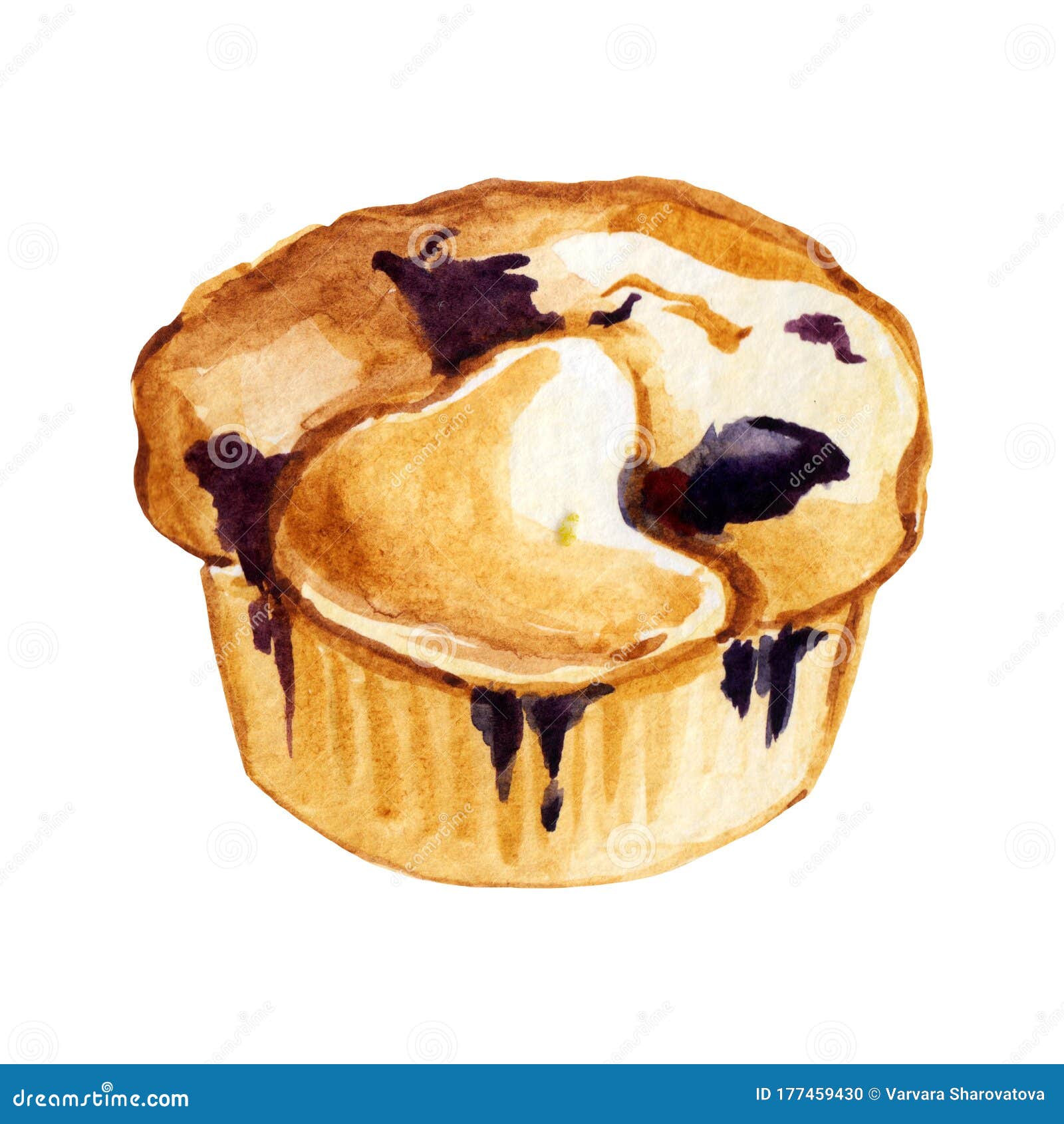 Watercolor Hand Drawn Blueberry Vanilla Muffin Illustration Isolated On