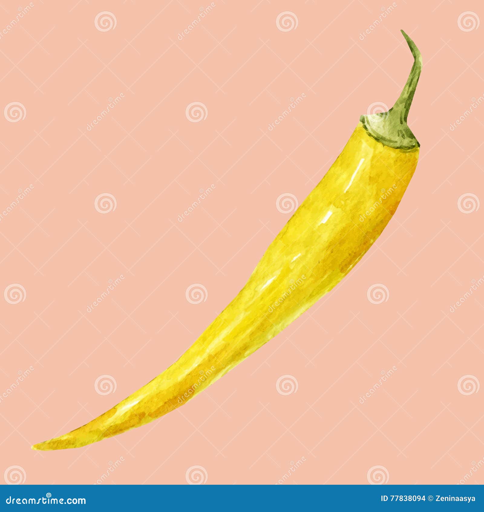 Watercolor Hand Drawn Chilli Stock Vector - Illustration of recipe ...