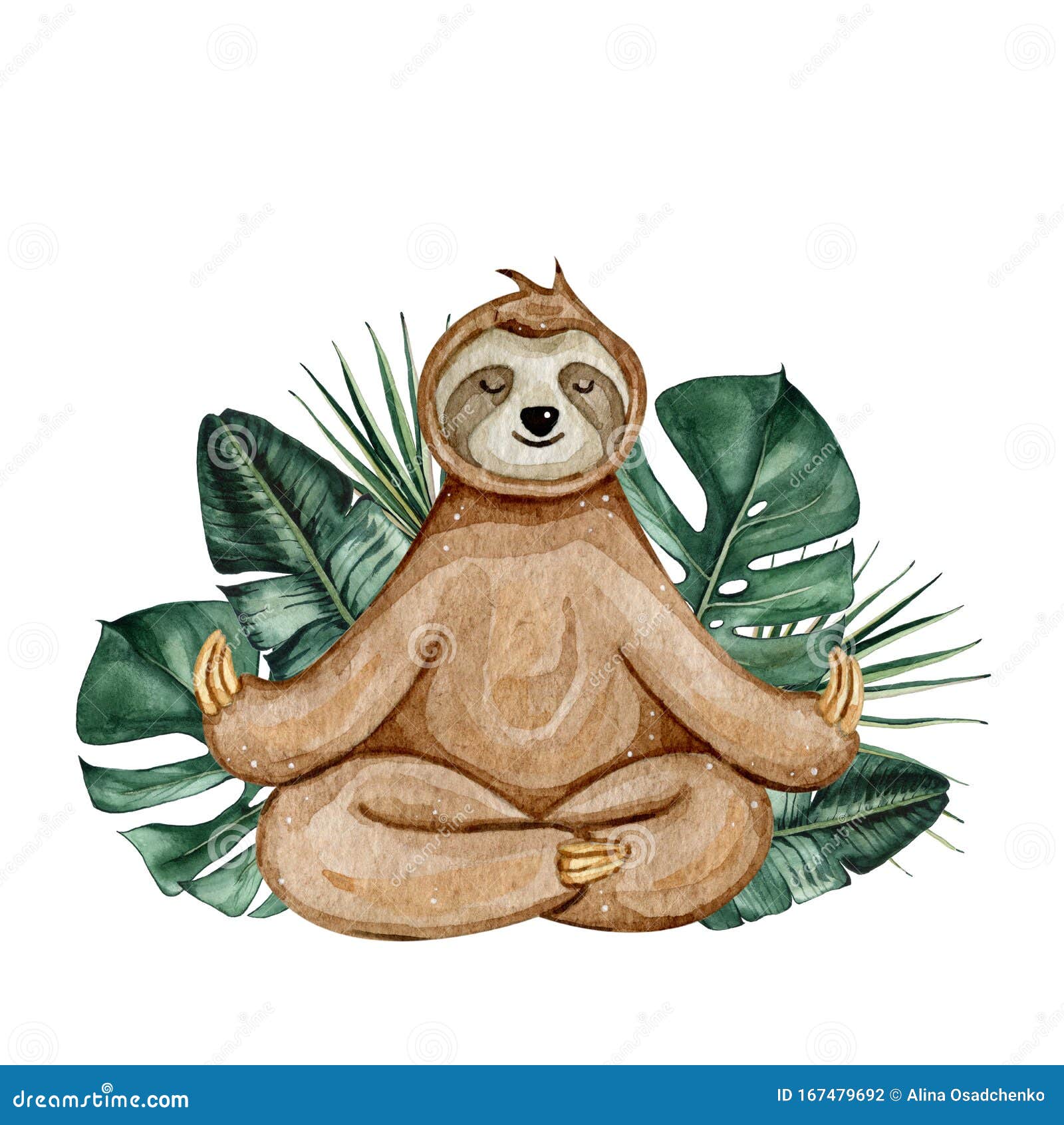 Watercolor Hand Drawn Cute Sloth with Tropical Leaves Isolated on White ... Watercolor Hand Drawn Cute Sloth with Tropical Leaves Isolated on White ...