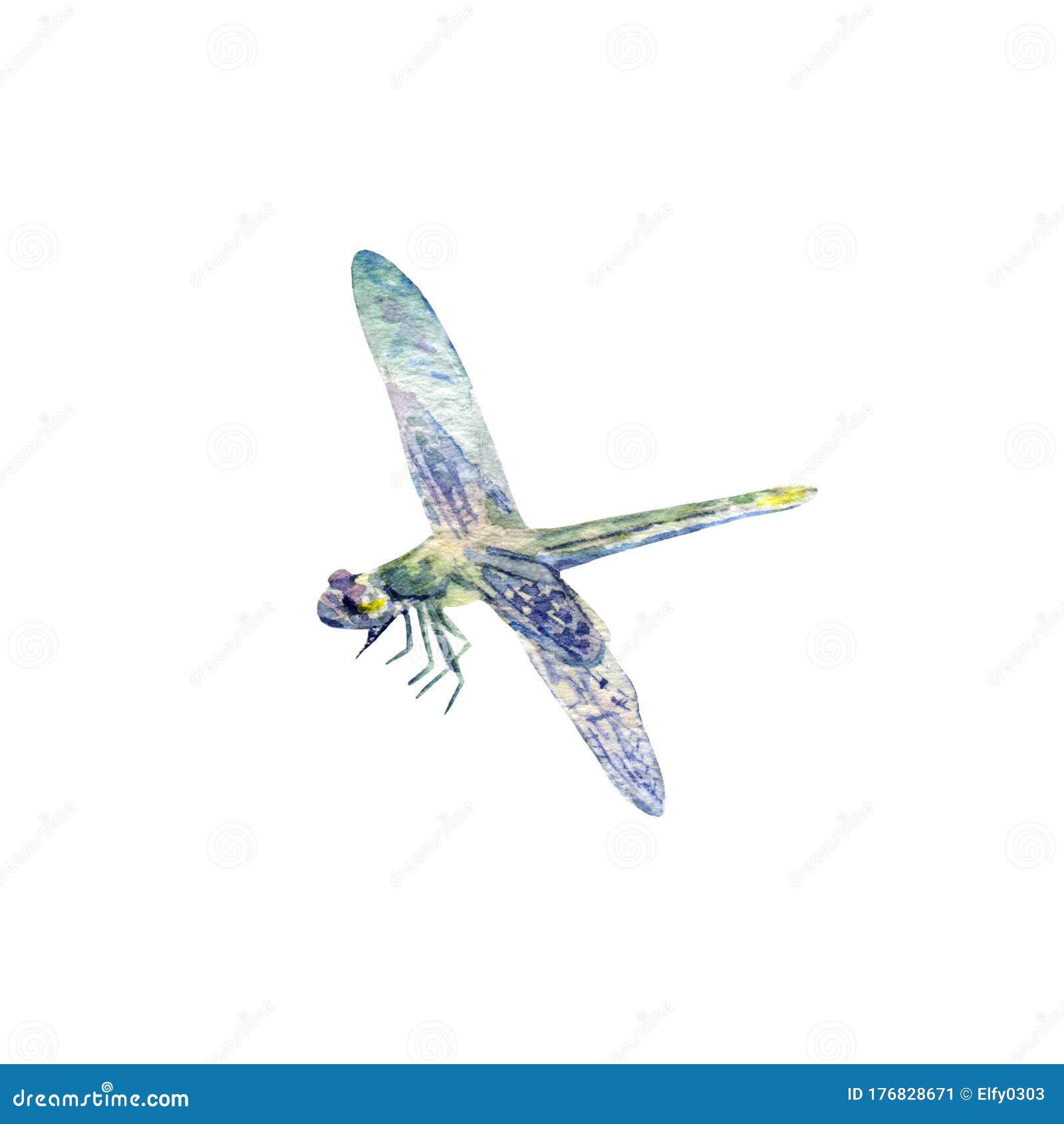 Watercolor Hand Drawn Illustration of Blue Dragonfly. Isolated Element ...