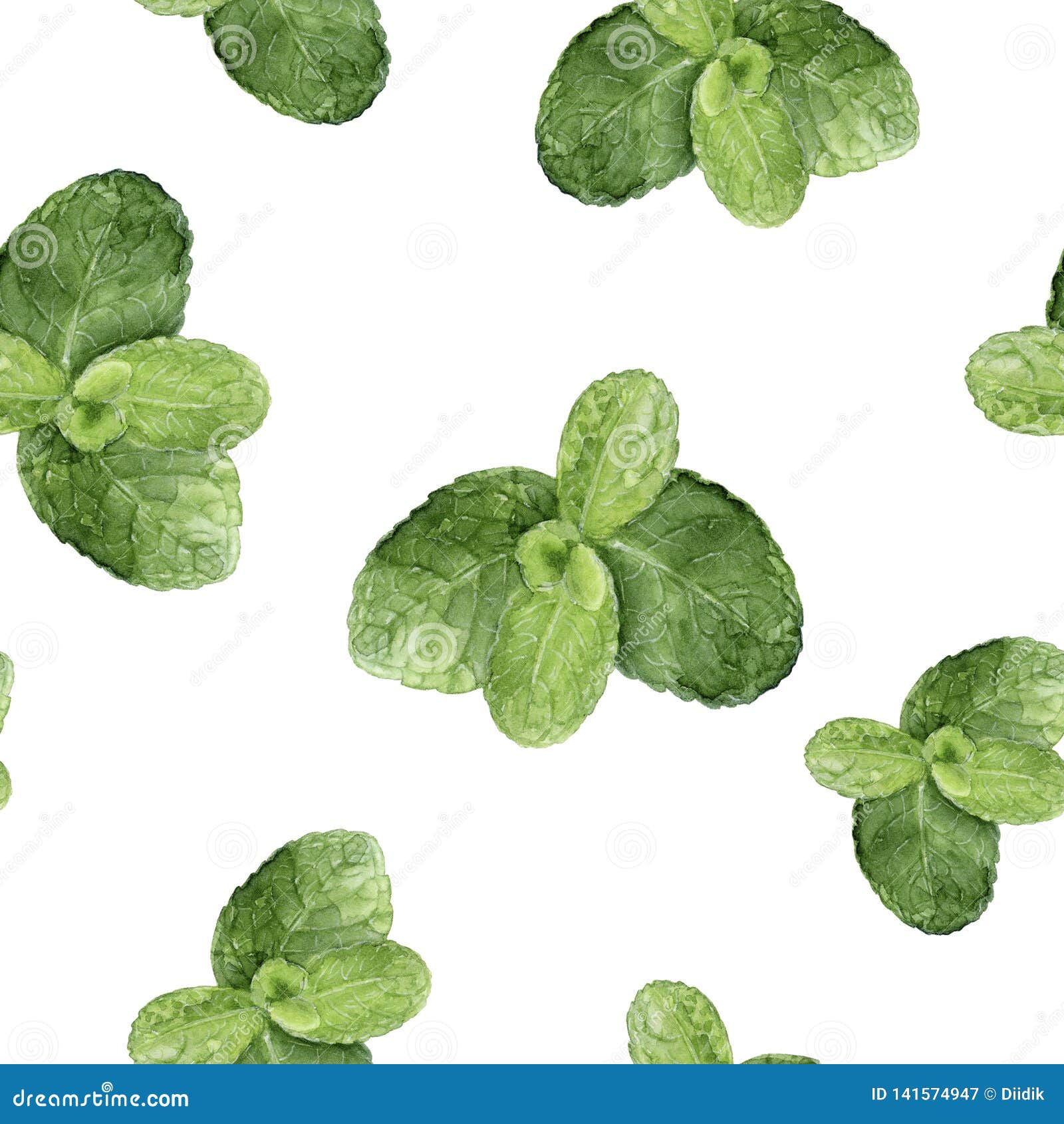 Watercolor Hand Drawn Mint Isolated Seamless Pattern. Stock ...