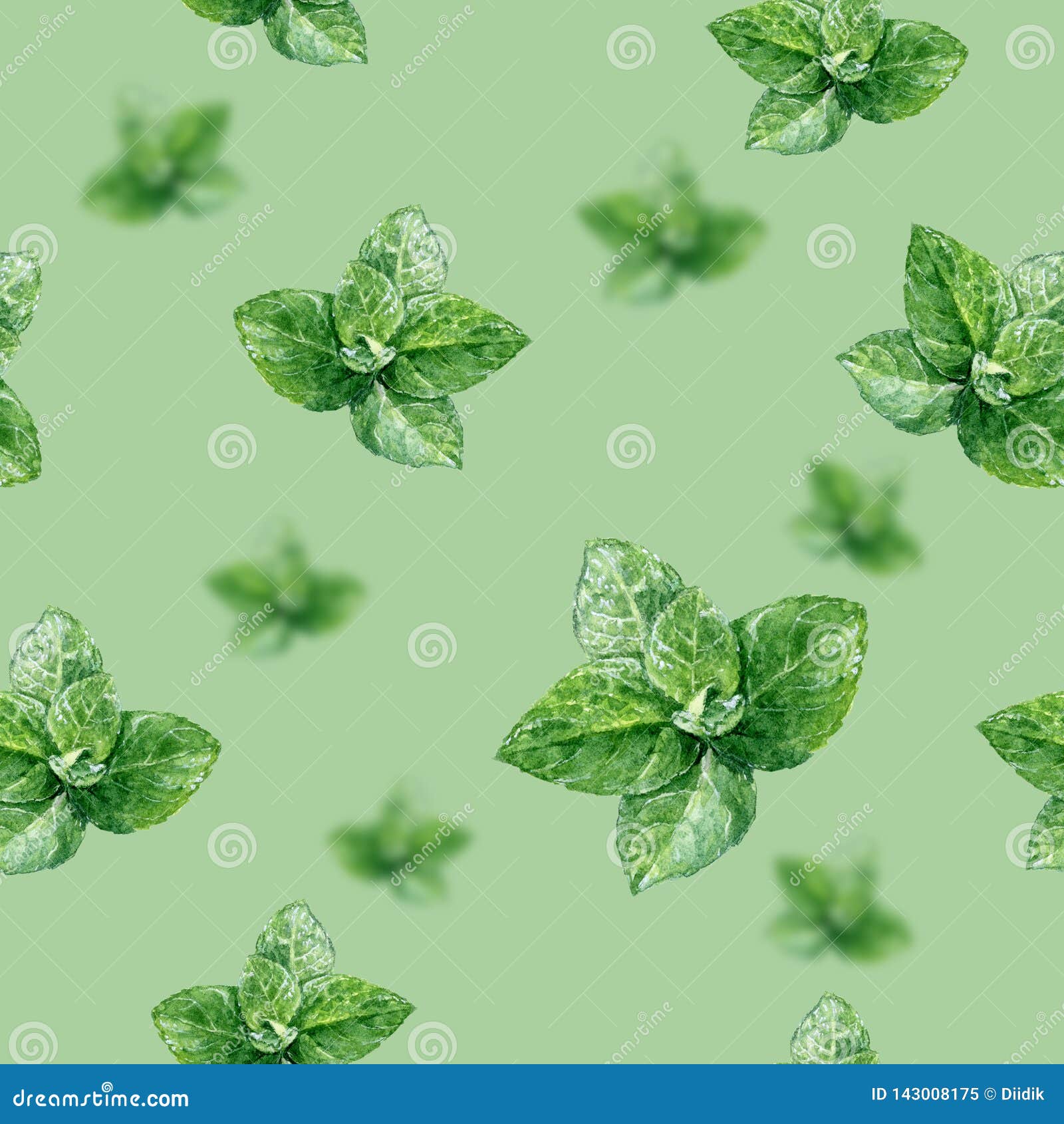 Watercolor Hand Drawn Mint Isolated Seamless Pattern. Stock ...