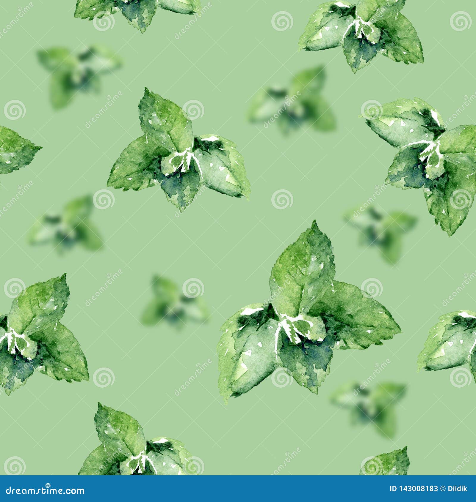 Watercolor Hand Drawn Mint Isolated Seamless Pattern. Stock ...