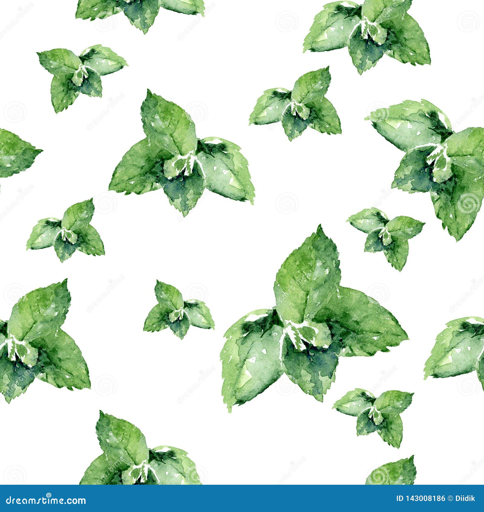 Watercolor Hand Drawn Mint Isolated Seamless Pattern. Stock ...