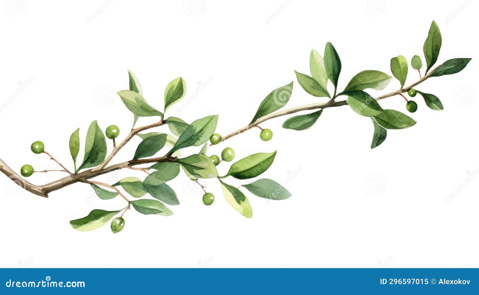 Watercolor Hand Drawn Mistletoe AI Generated Stock Illustration ...