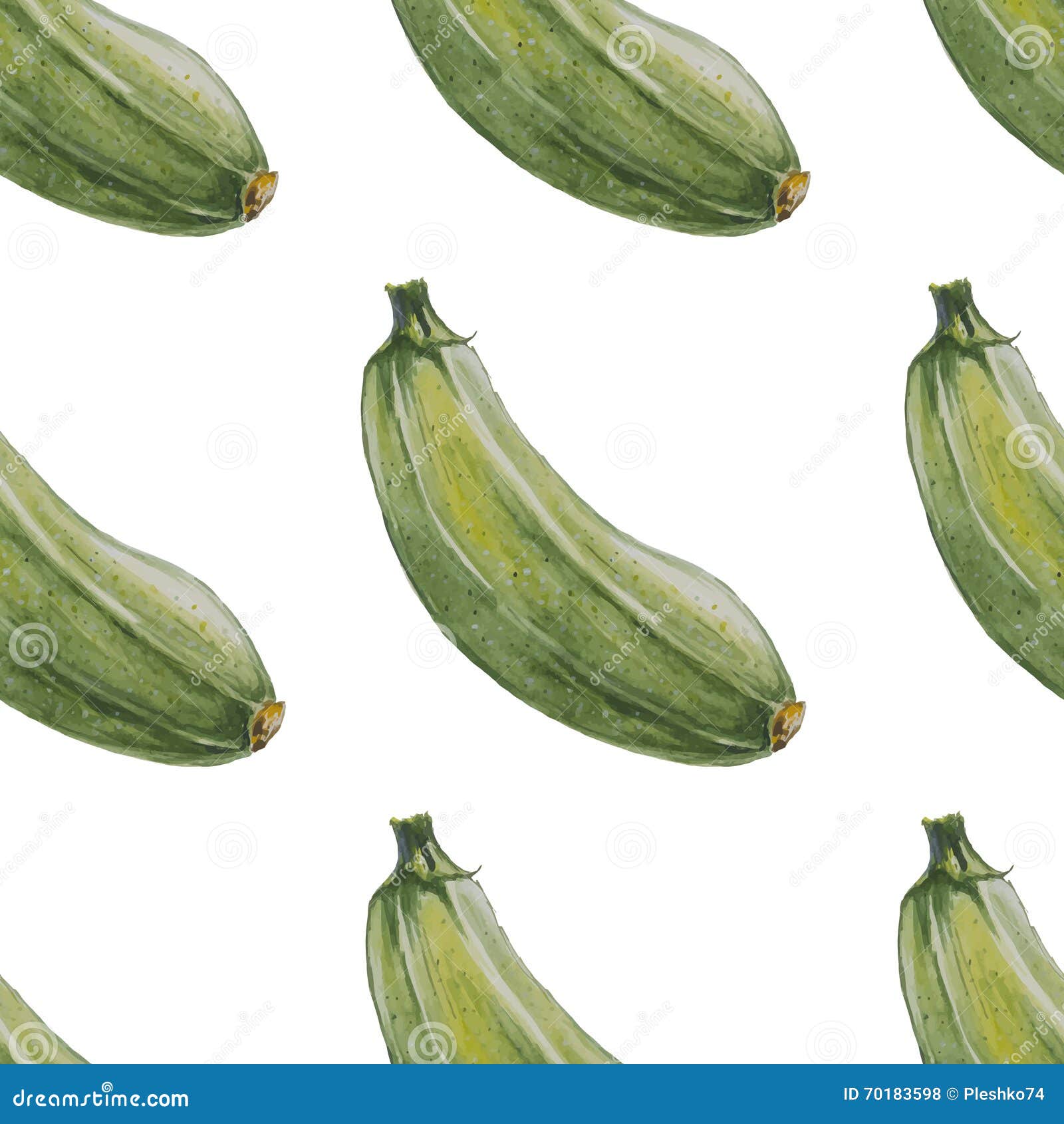 Watercolor Hand Drawn Seamless Pattern with Zucchini. Stock Vector ...