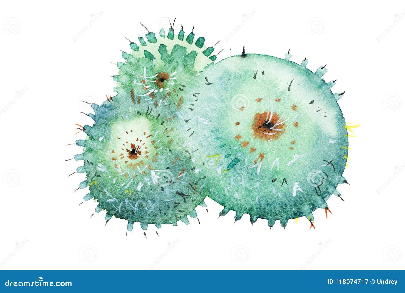 Watercolor Hand Drawn Spiky Cactus Bloom Flower Stock Illustration ...