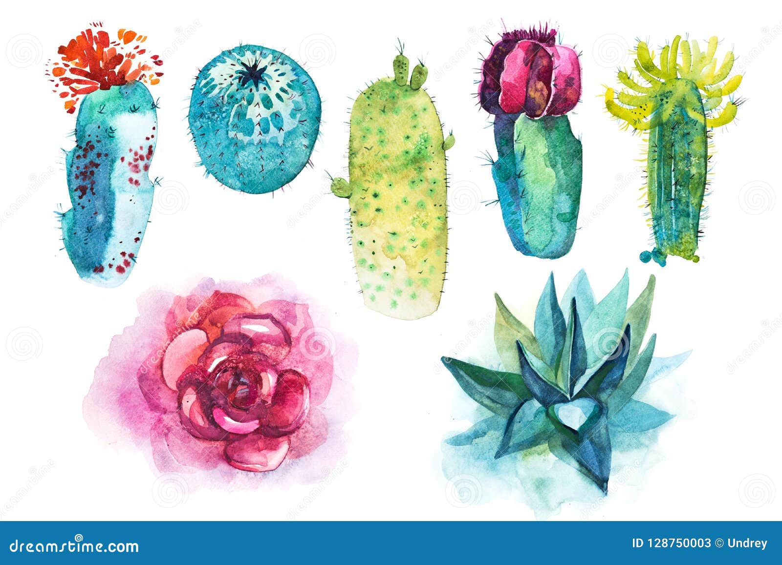 Watercolor Hand Drawn Spiky Cactus Bloom Flower. Stock Illustration ...