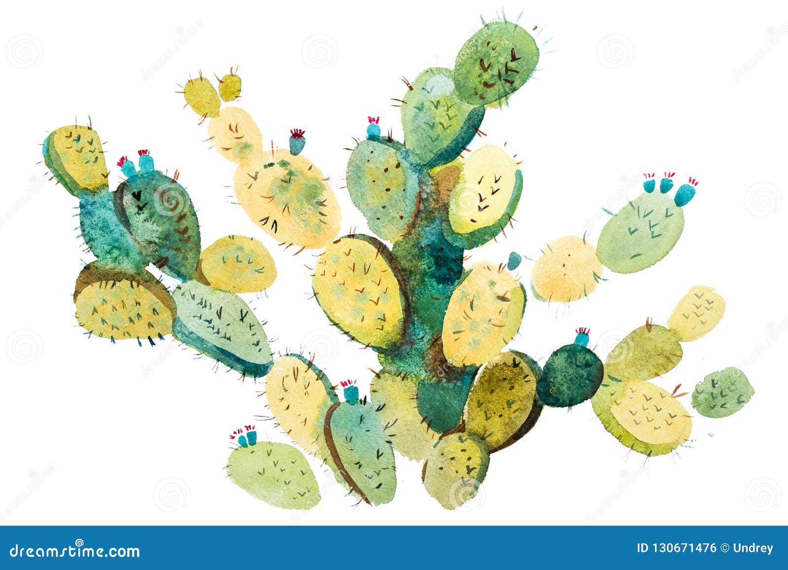 Watercolor Hand Drawn Spiky Cactus Bloom Flower Stock Illustration ...