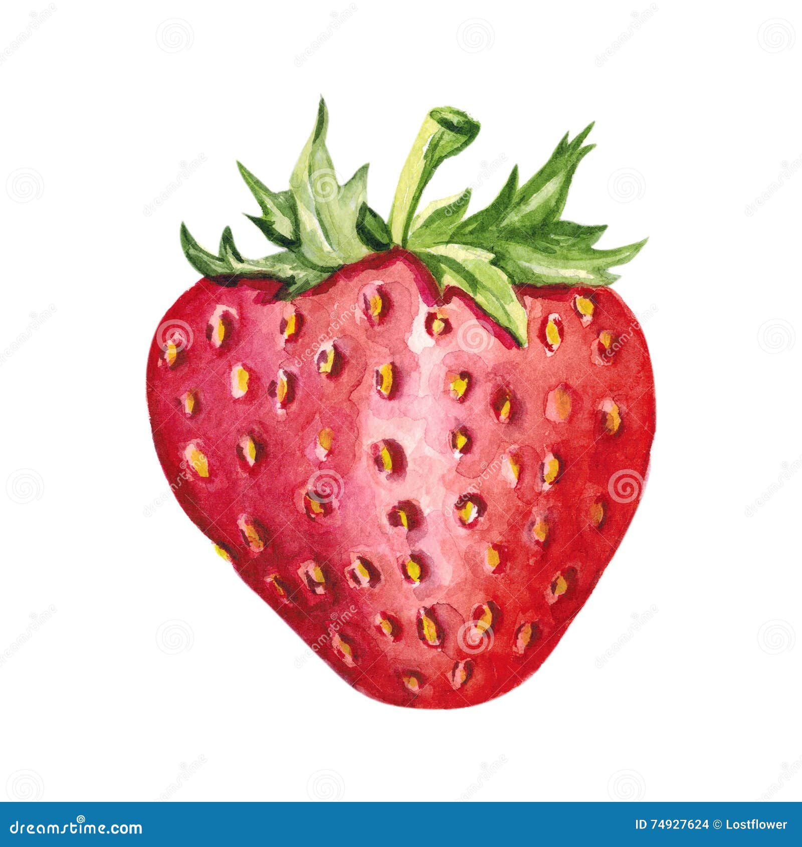 Watercolor Hand Drawn Strawberry Stock Photo - Image of strawberry ...