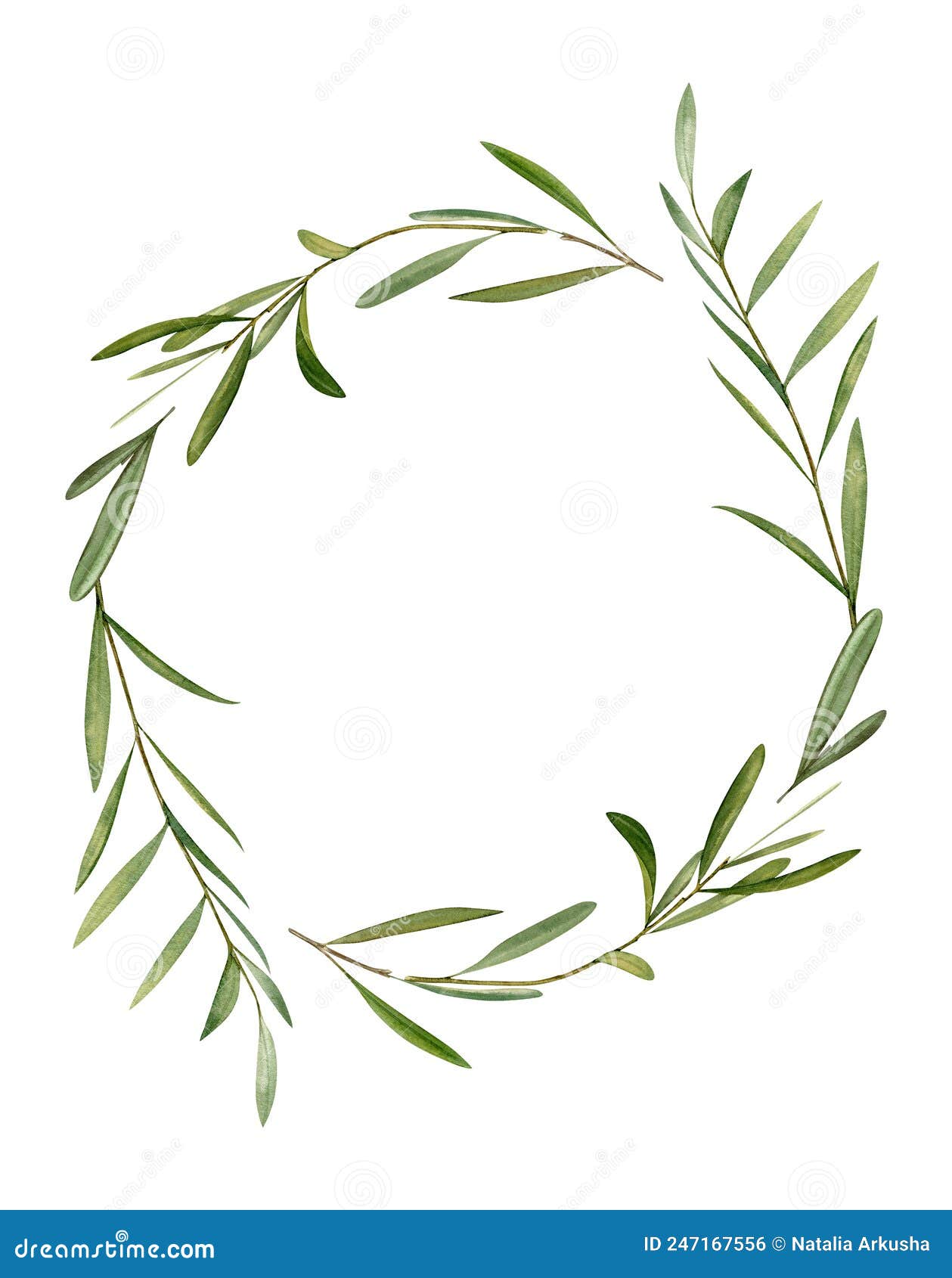 Watercolor Hand Drawn Wreath with Olive Leaf and Olives. Stock ...