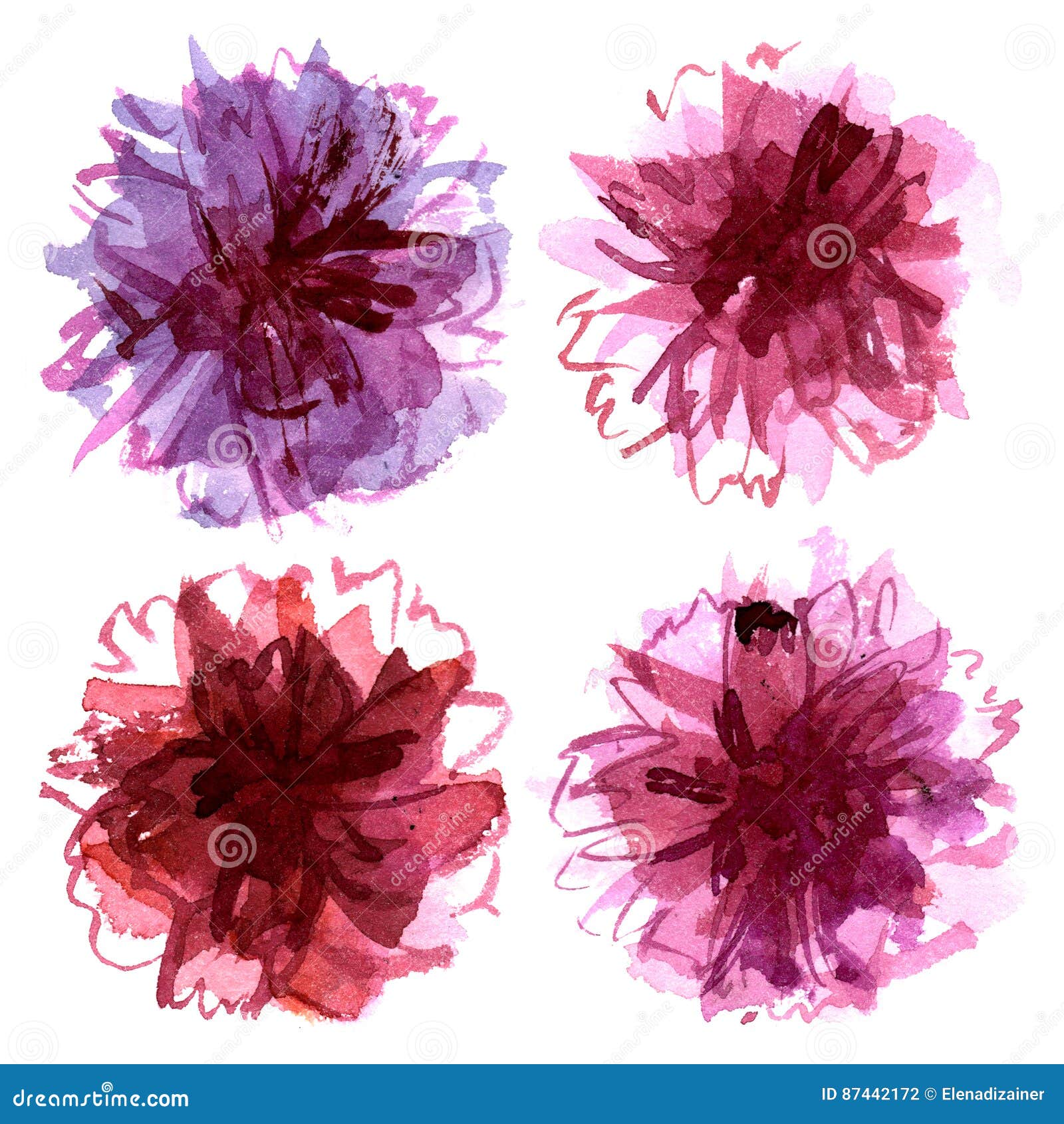 Watercolor Hand Painted Carnations Isolated Stock Illustration ...