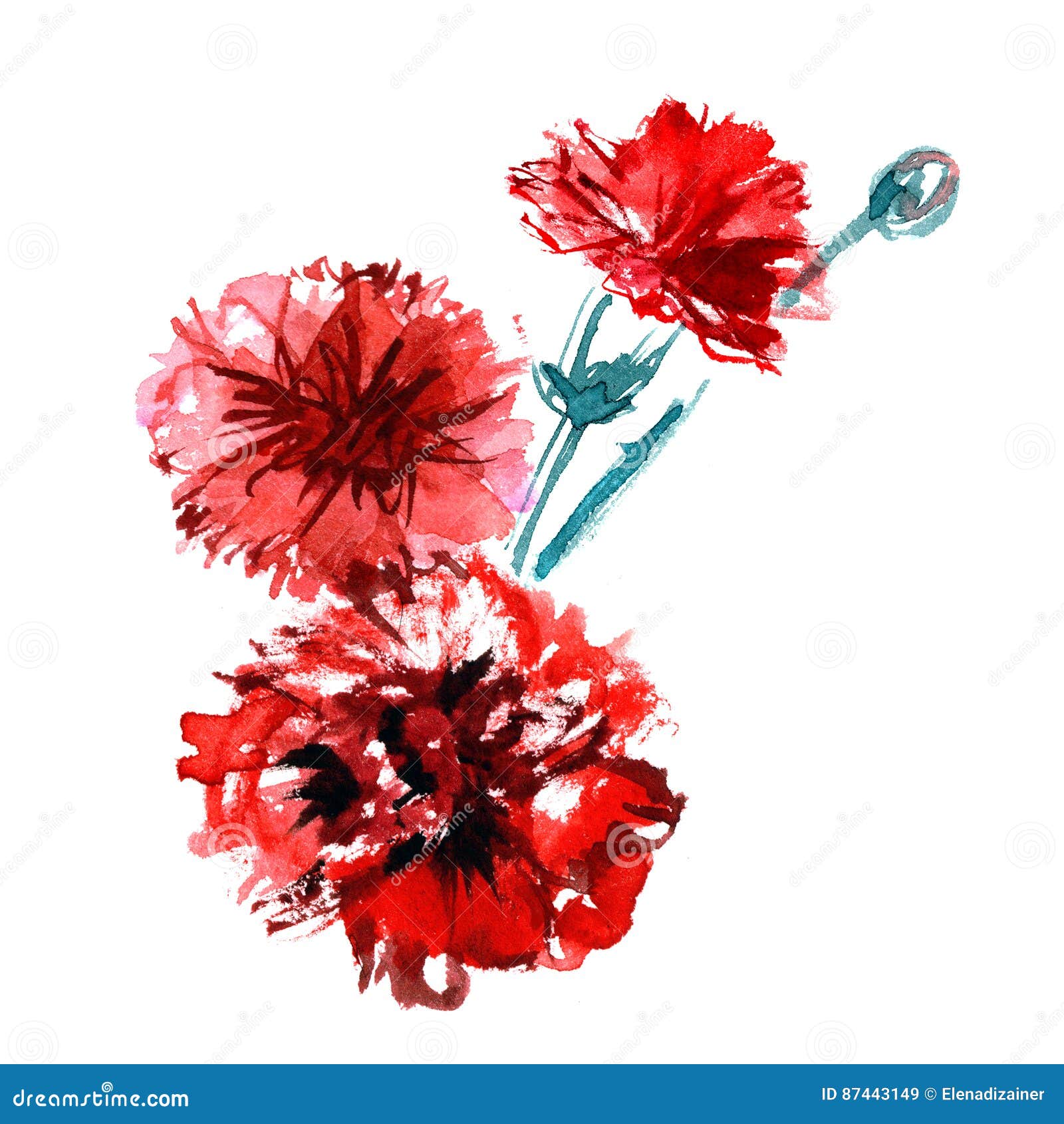 Watercolor Hand Painted Carnations Isolated Stock Illustration ...