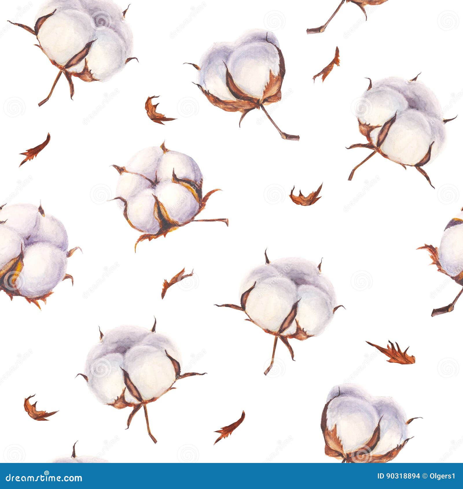 Watercolor Hand Painted Cotton Flowers Seamless Pattern Stock ...