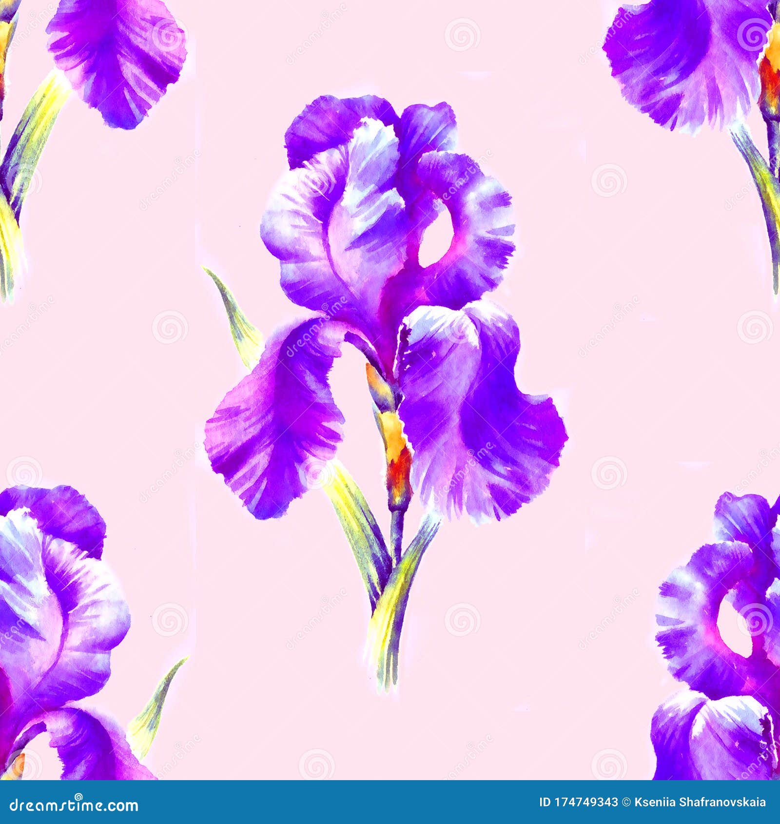 Watercolor Hand Painted Iris Flower, Seamless Pattern Stock Image ...