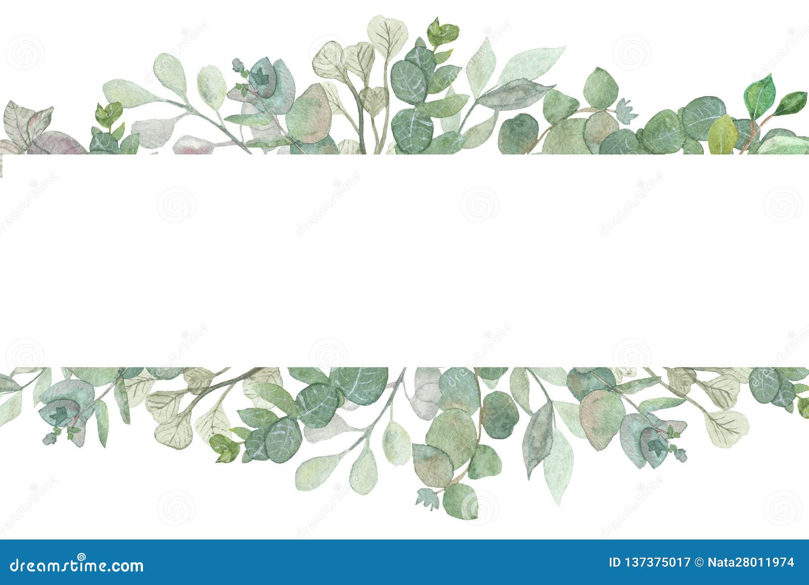 Watercolor Hand Painted Lush Banner with Silver Leaves and Branches of ... Watercolor Hand Painted Lush Banner with Silver Leaves and Branches of ...