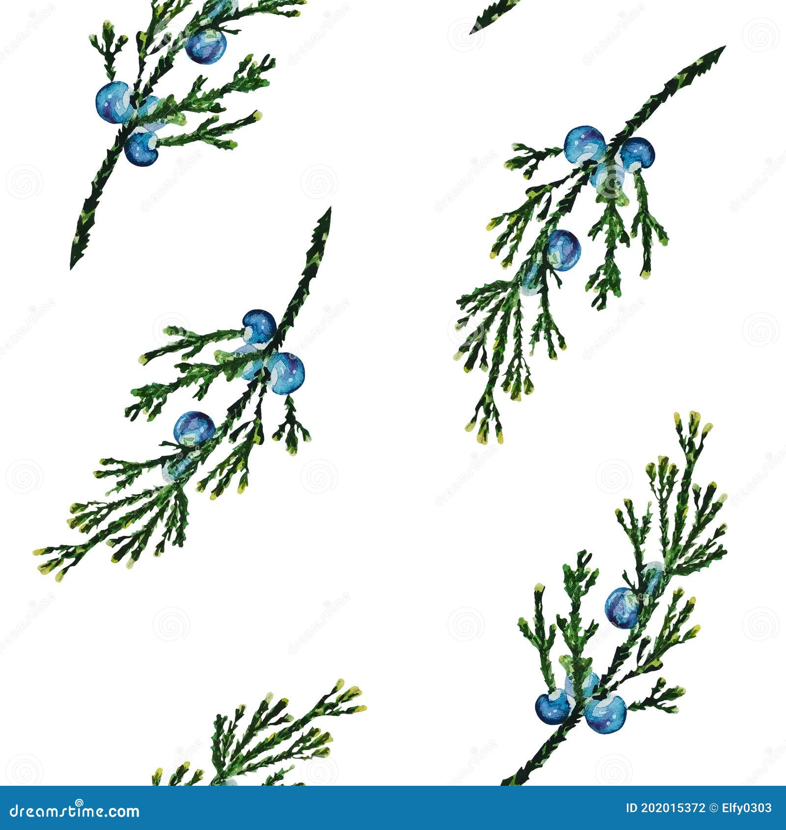 Watercolor Hand Painted Seamless Pattern with Juniper Branches with ...