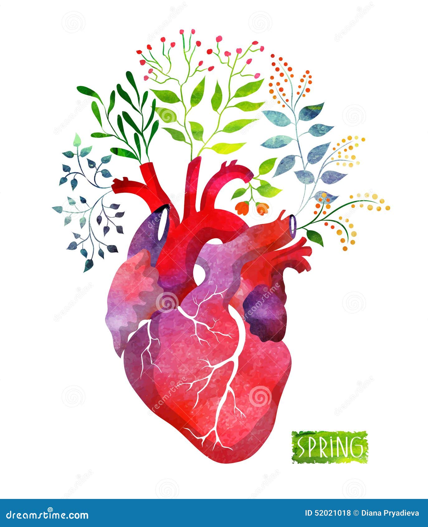 Watercolor Heart with Spring Leafs and Flowers. Spring or Summer Design ...