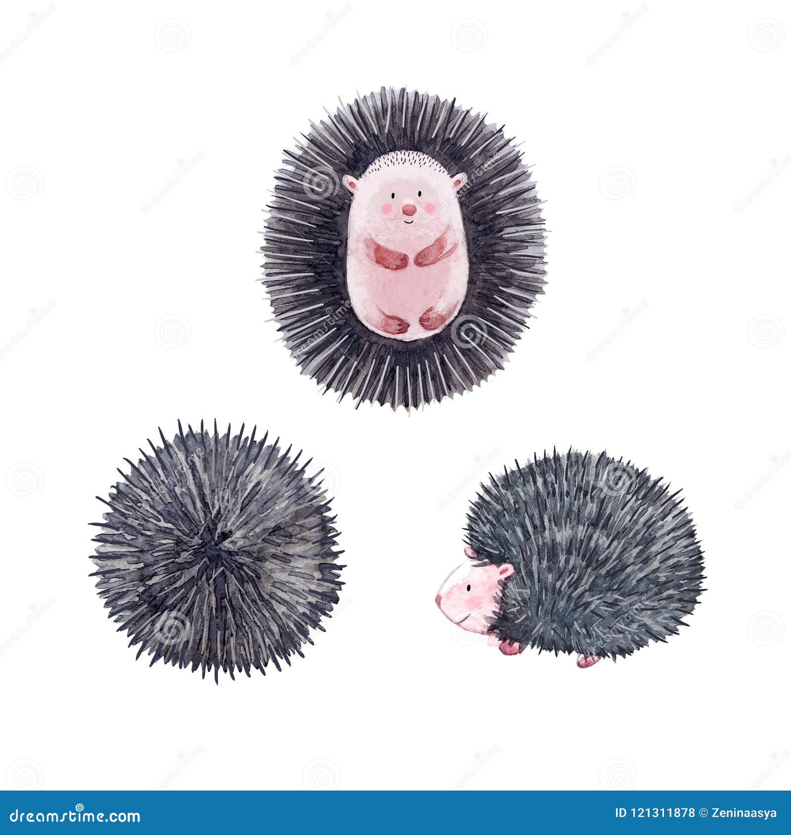Watercolor hedgehog set stock illustration. Illustration of tale ...