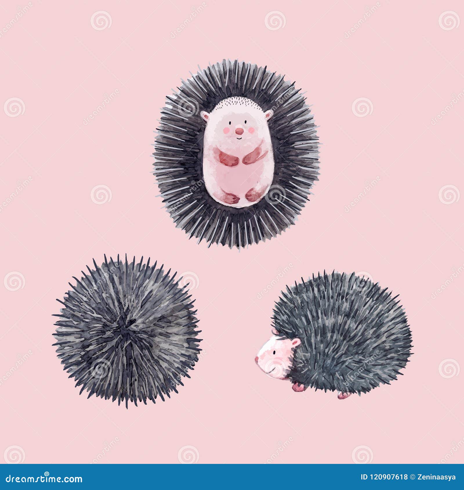 Watercolor Hedgehog Vector Set Stock Vector - Illustration of unusual ...