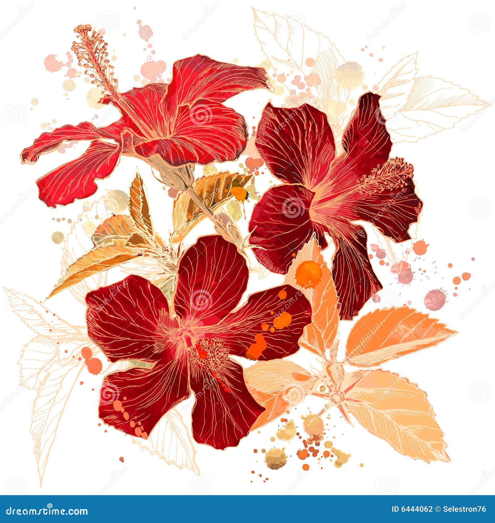 Watercolor - Hibiscus Flower Stock Vector - Illustration of pretty ...
