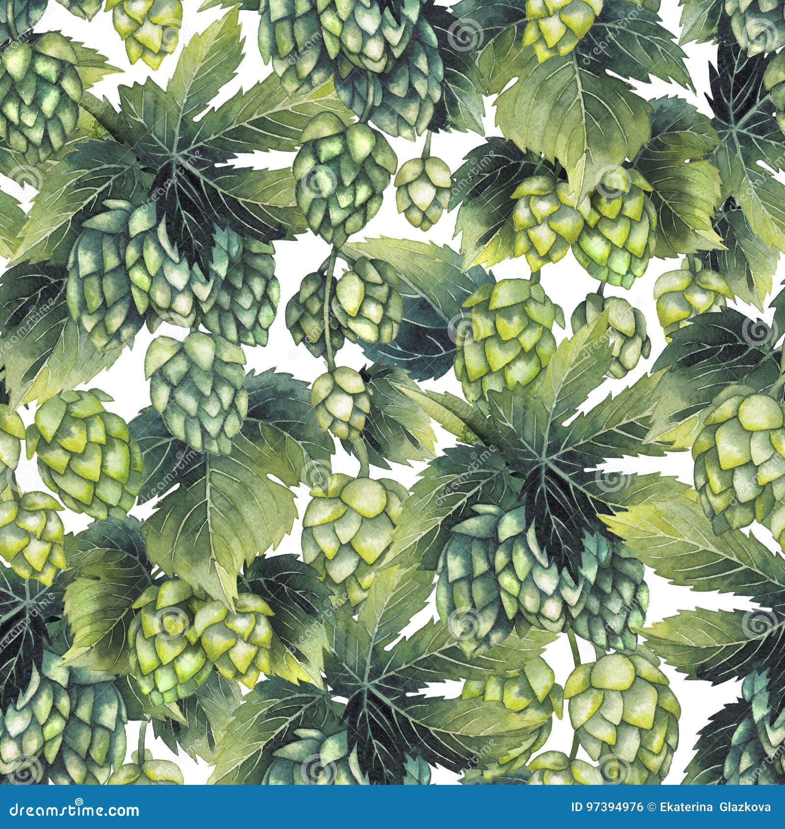 Watercolor hops pattern stock illustration. Illustration of festival ...