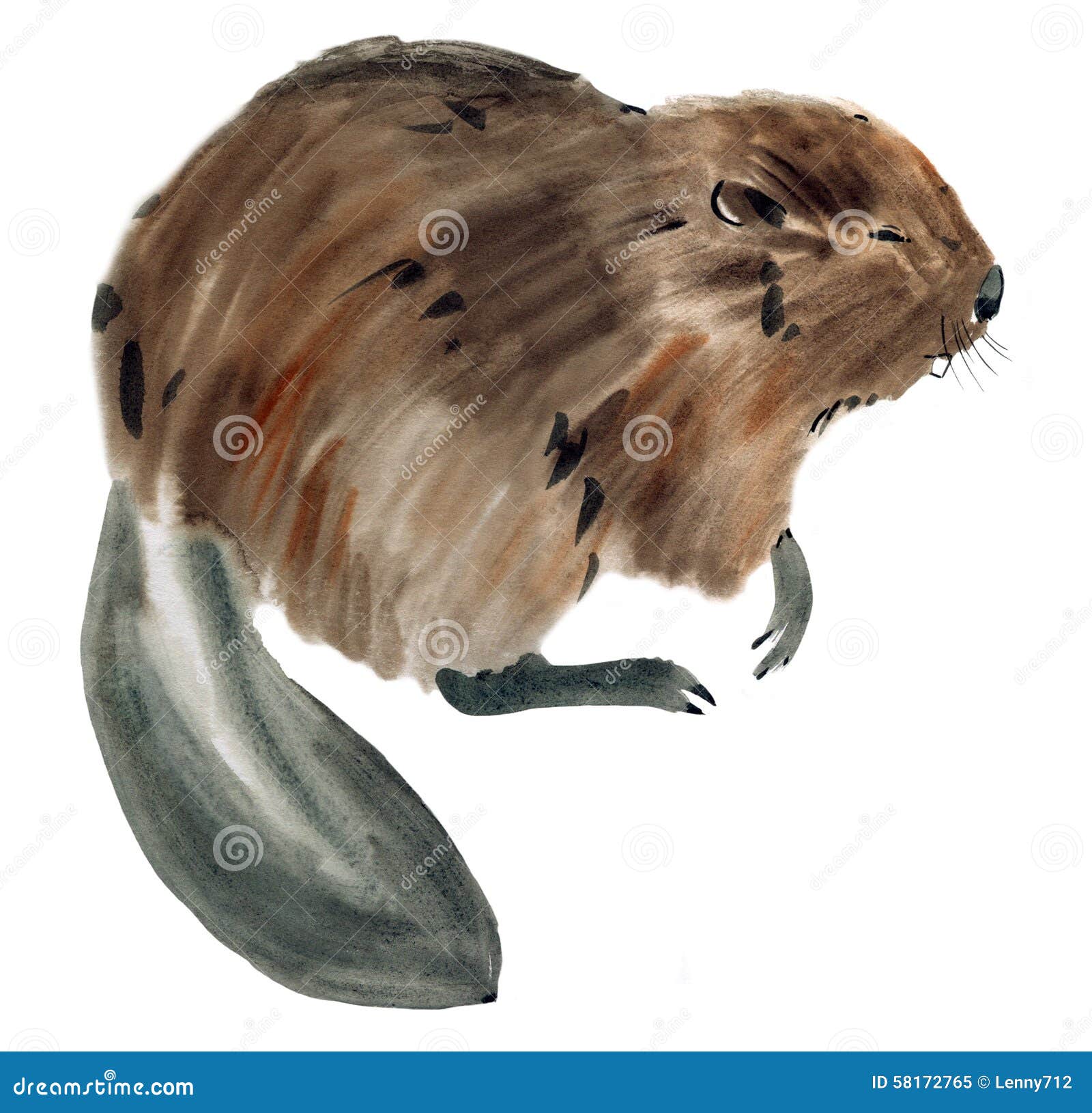 Beaver White Background Stock Illustrations – 2,928 Beaver White ...
