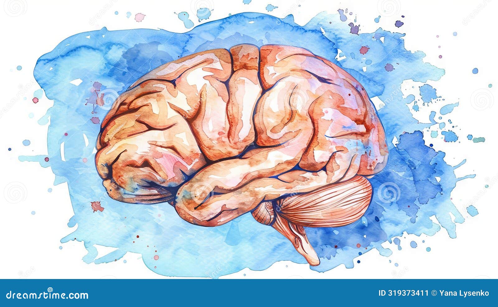 Watercolor Illustration of a Brain with Splashes of Color. Concept of ...