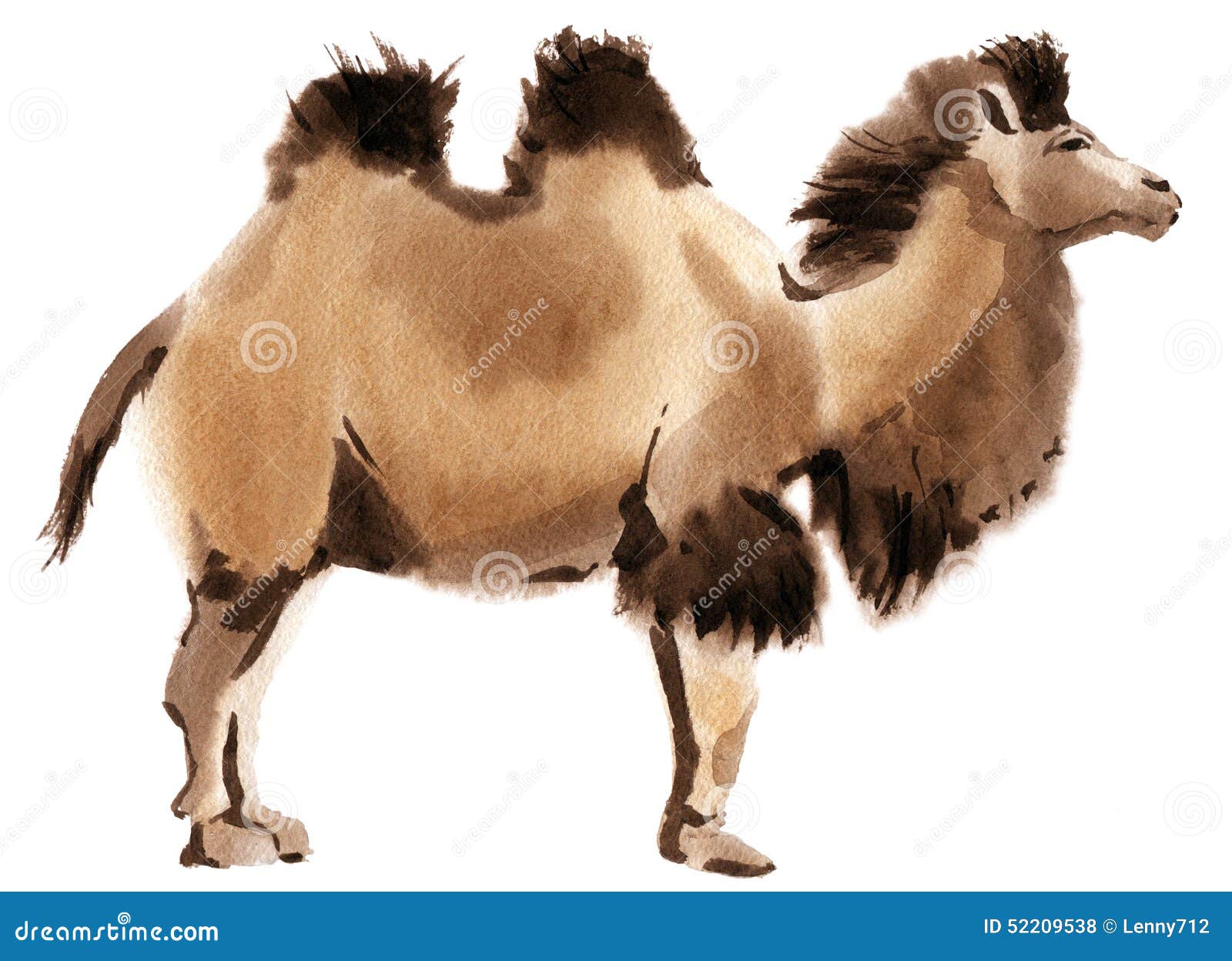 Watercolor Illustration of a Camel Stock Illustration - Illustration of ...