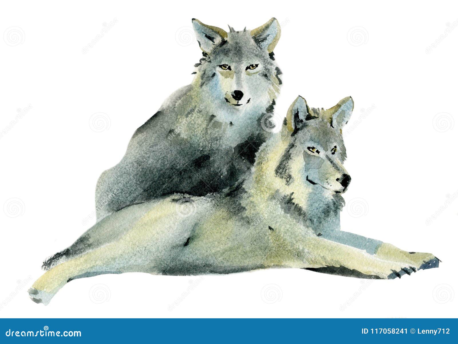 Watercolor Illustration of a Couple of Wolves Stock Illustration ...