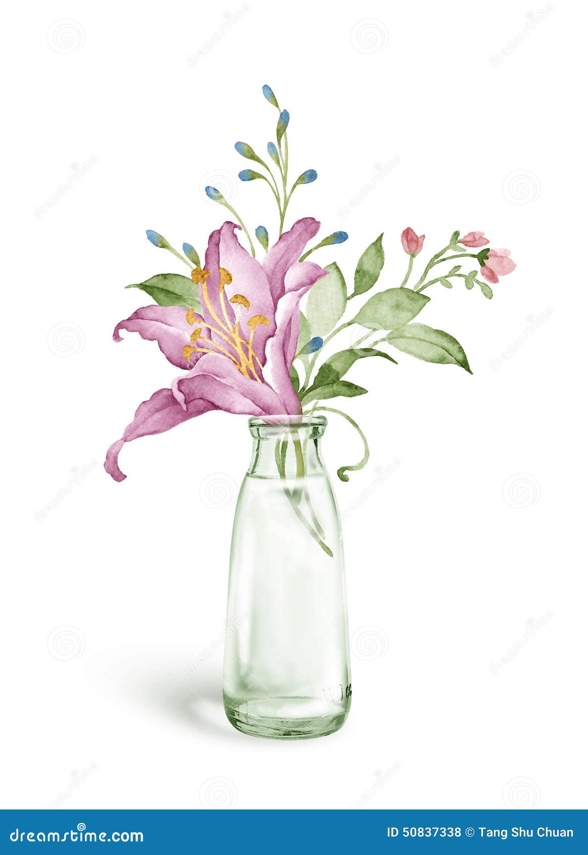 Watercolor Illustration Of Stylized Astra Flower. Color Illustration Of ...